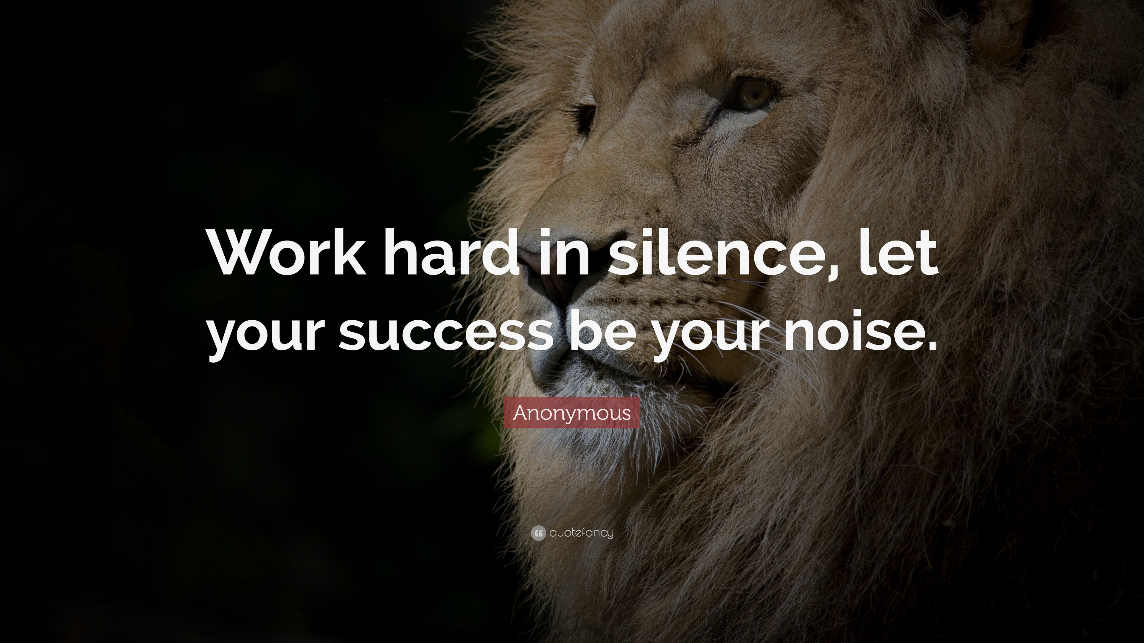 Anonymous Quote: “Work hard in silence, let your success be your noise.”