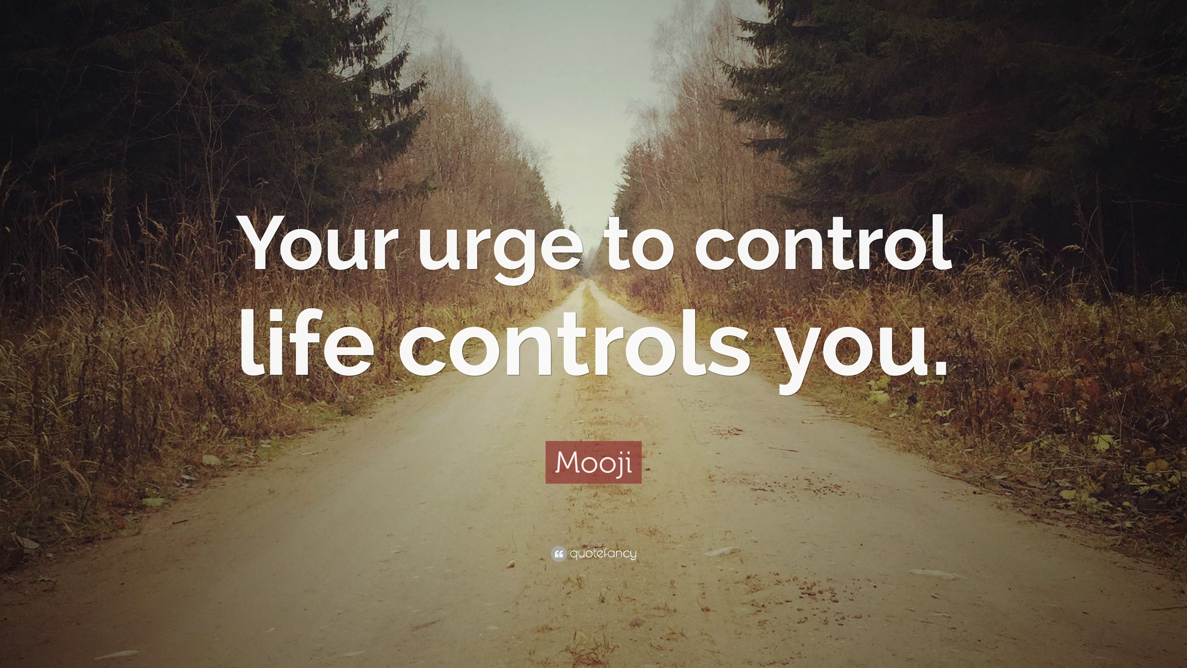 Mooji Quote: “Your urge to control life controls you.”