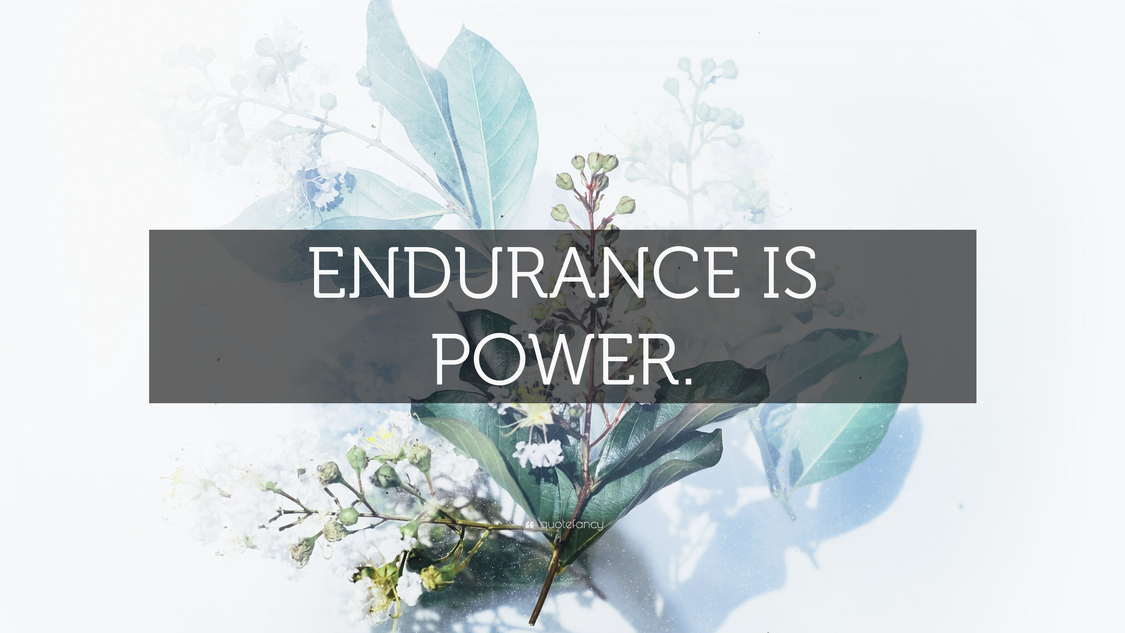 “ENDURANCE IS POWER.” Wallpaper by QuoteFancy