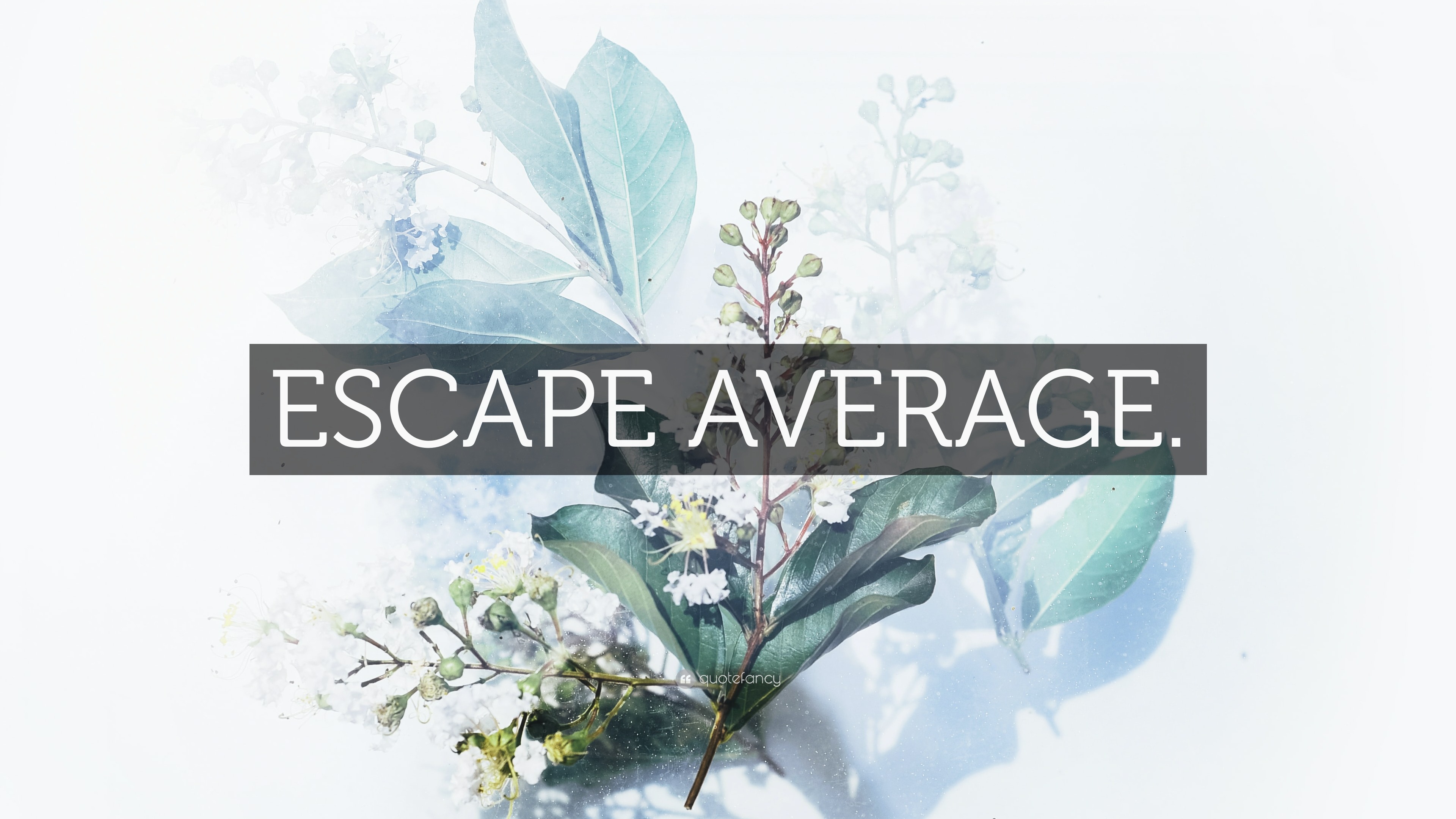 “ESCAPE AVERAGE.” Wallpaper by QuoteFancy