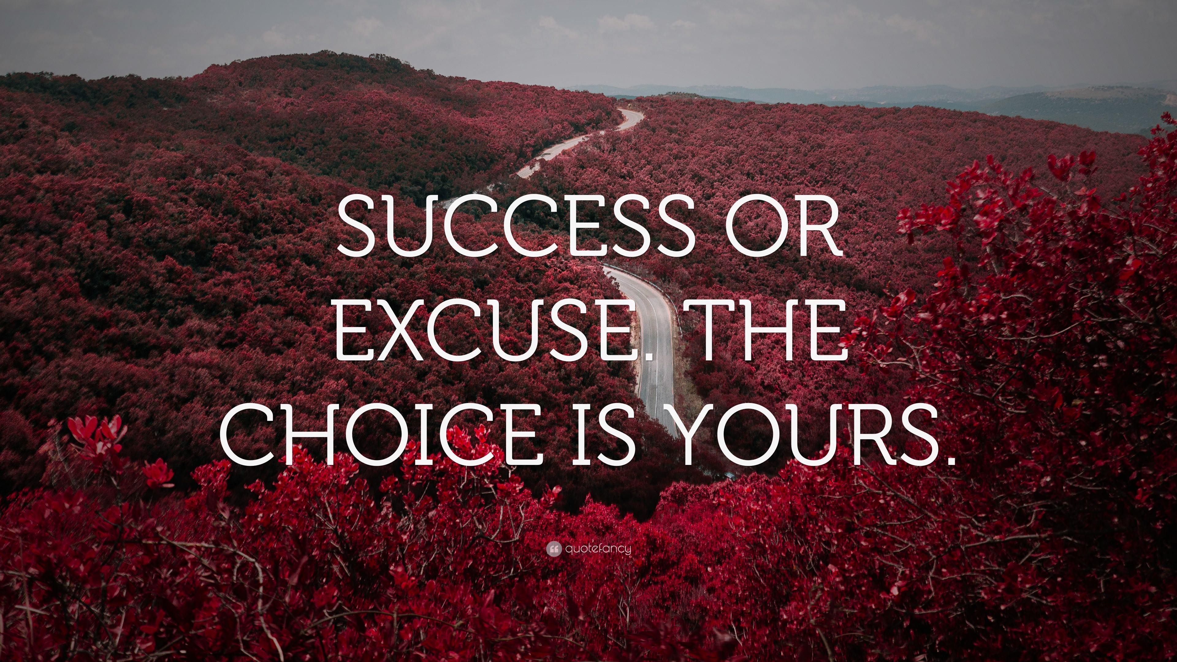 “SUCCESS OR EXCUSE. THE CHOICE IS YOURS.” Wallpaper by QuoteFancy