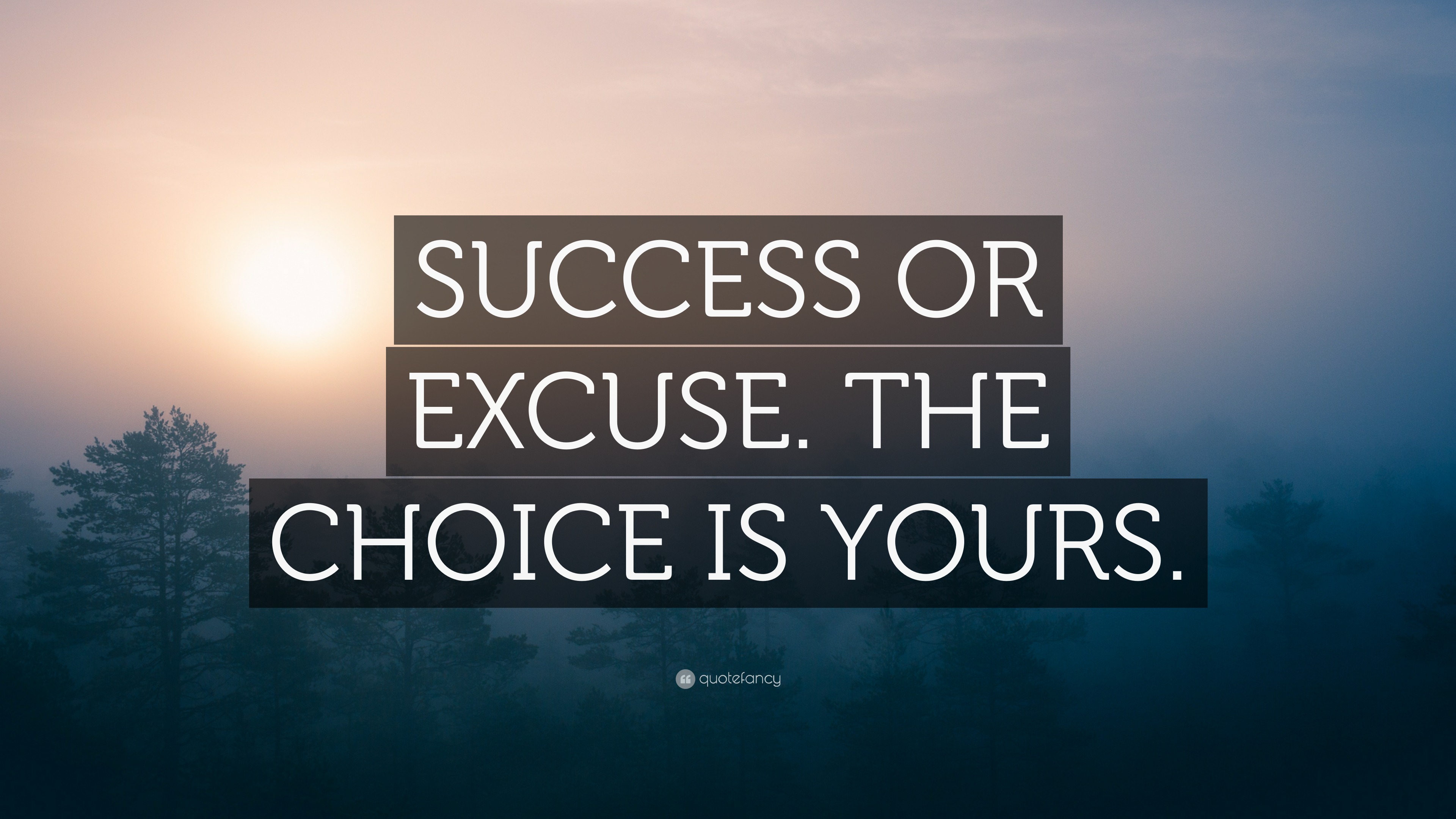 “SUCCESS OR EXCUSE. THE CHOICE IS YOURS.” Wallpaper by QuoteFancy
