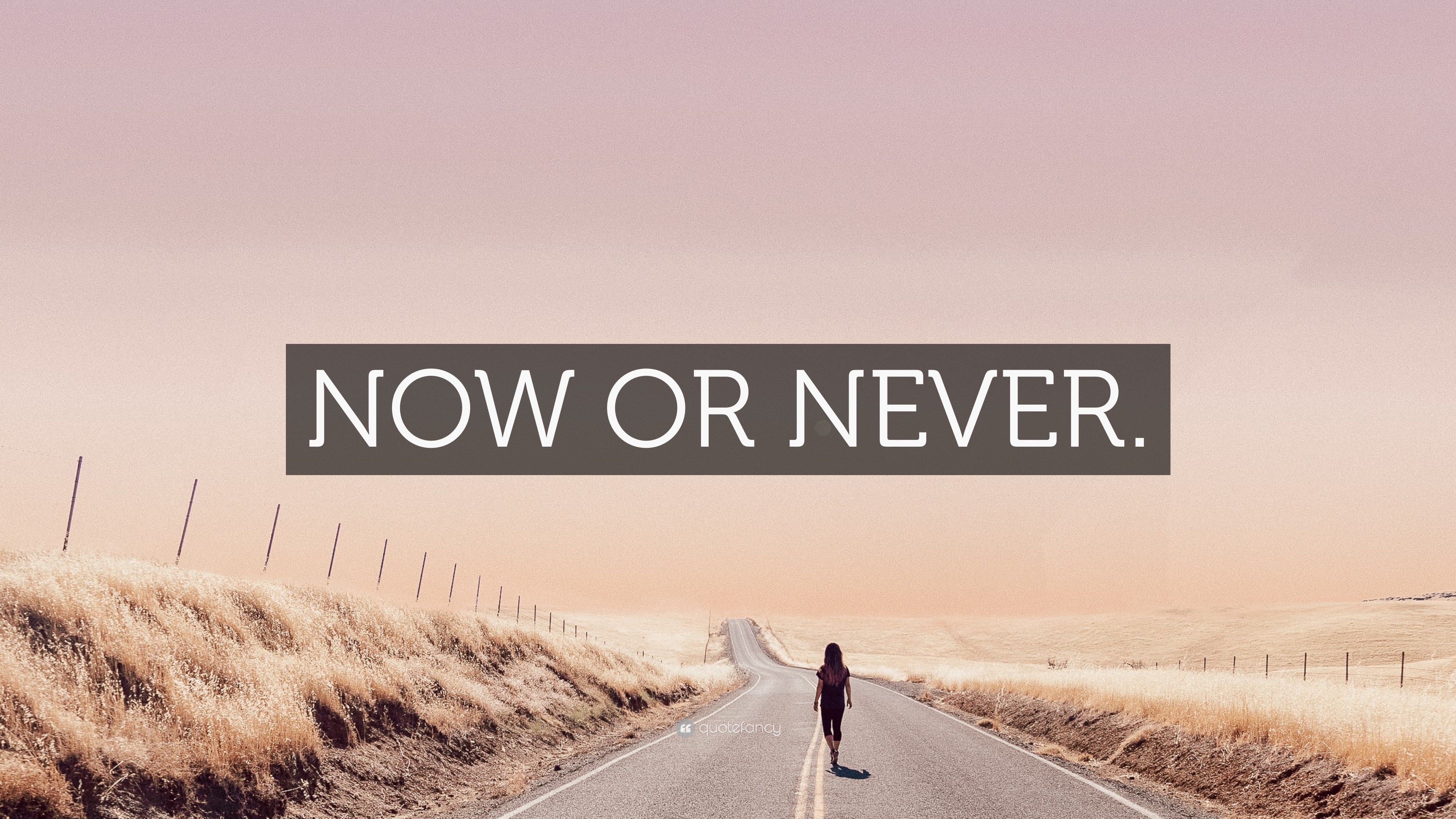 “NOW OR NEVER.” Wallpaper by QuoteFancy