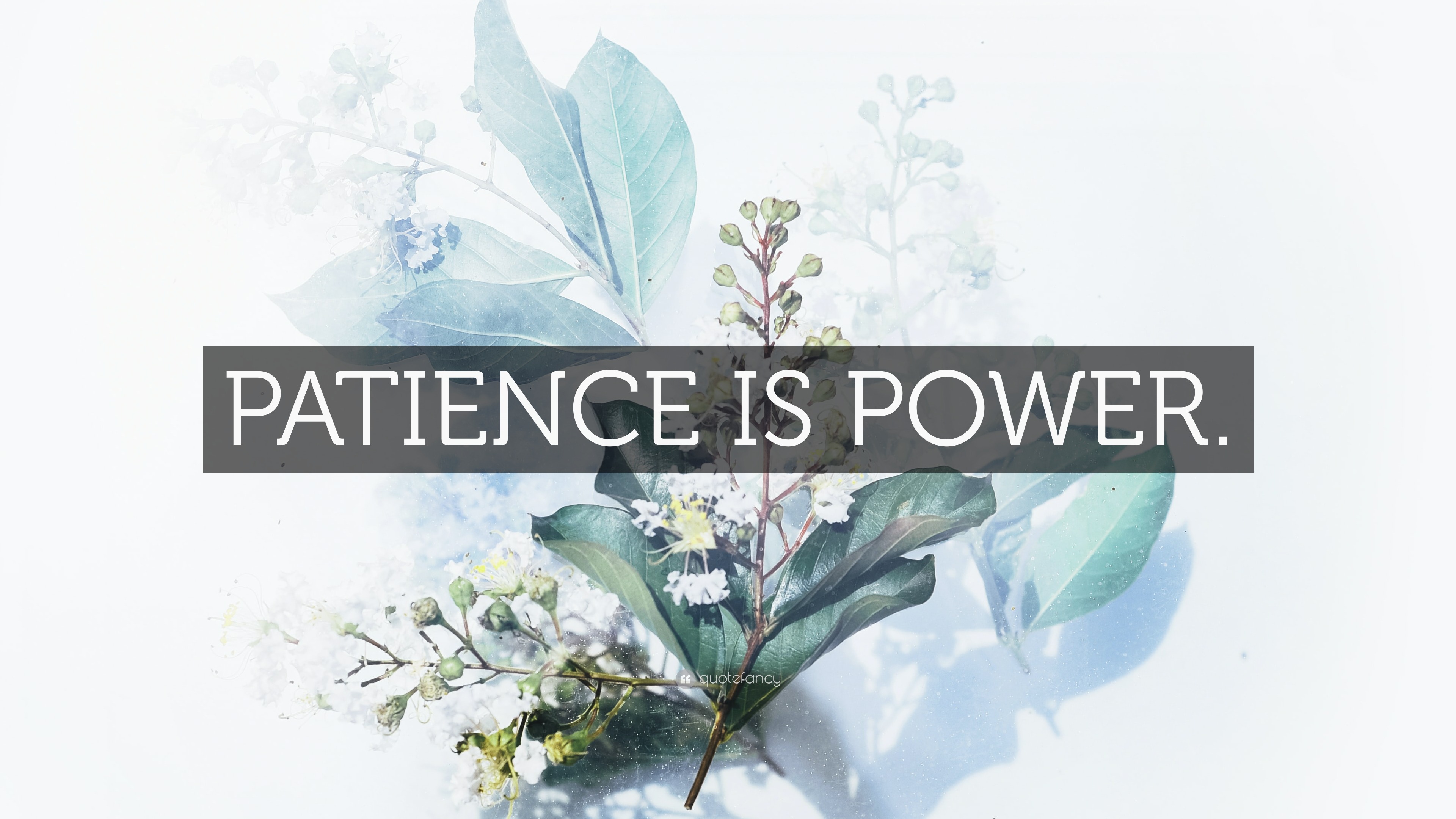 “PATIENCE IS POWER.” Wallpaper by QuoteFancy