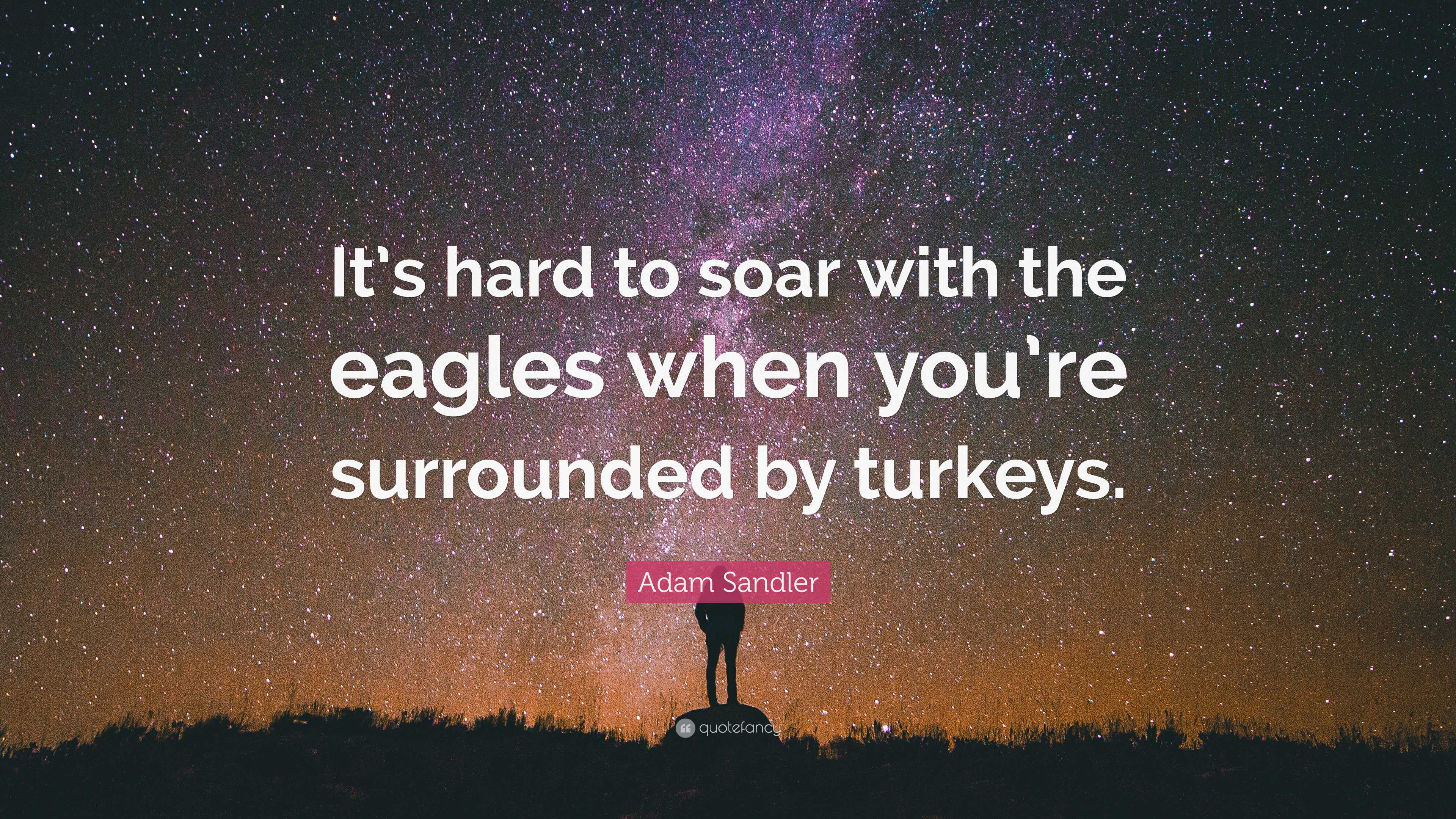 Adam Sandler Quote: “It’s hard to soar with the eagles when you’re ...