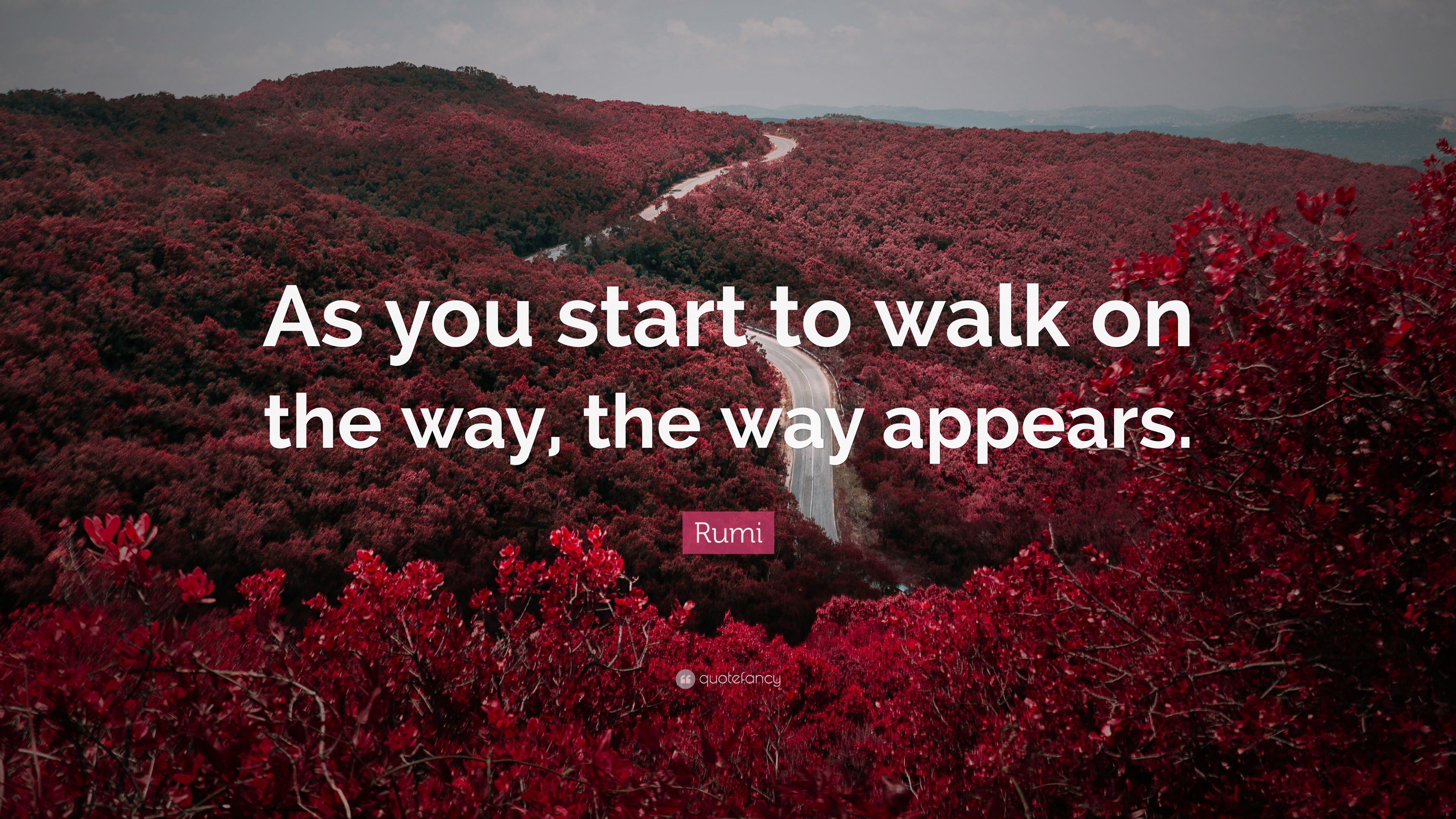 Rumi Quote: “As you start to walk on the way, the way appears.”