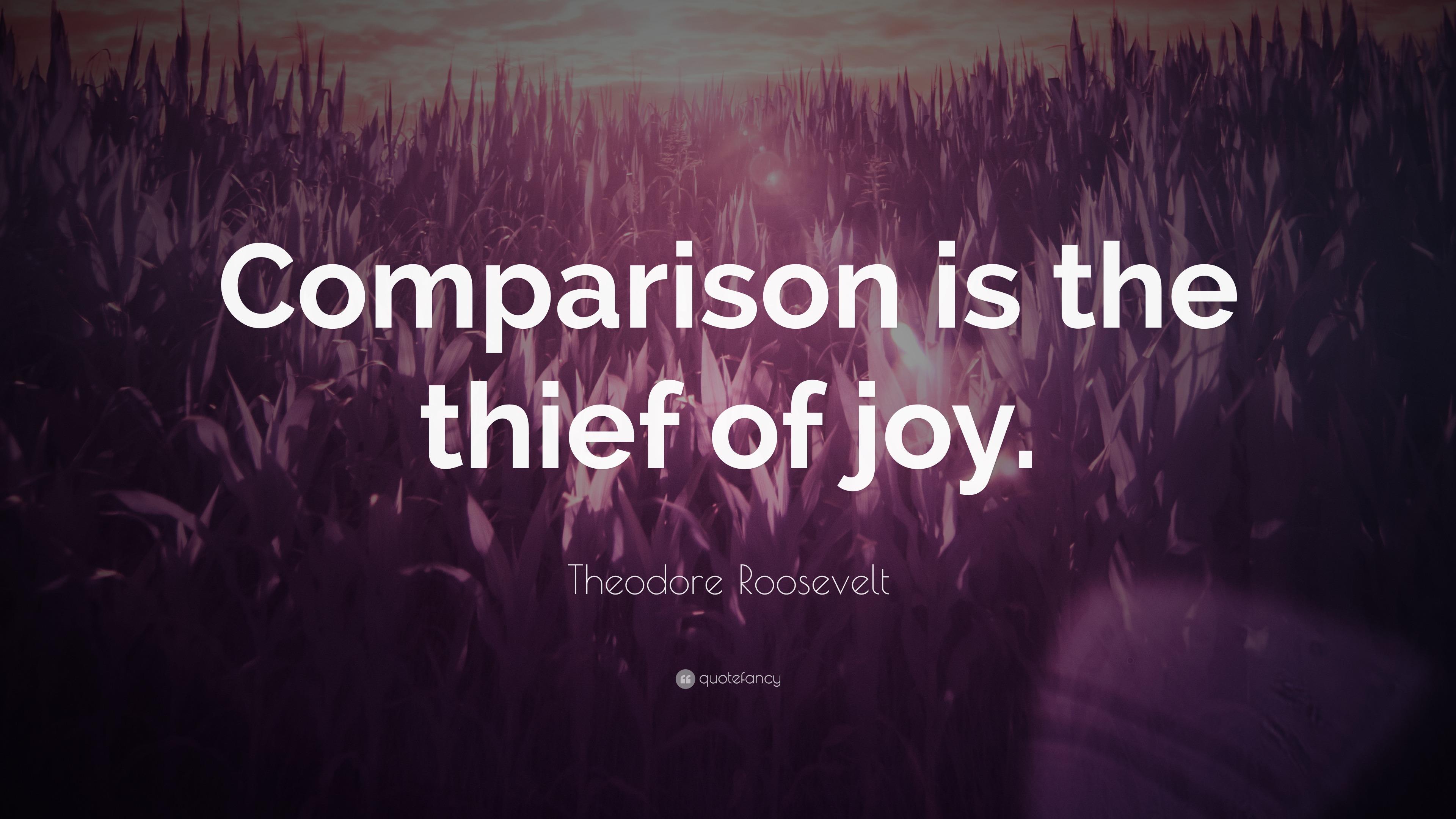Theodore Roosevelt Quote: “Comparison is the thief of joy.”