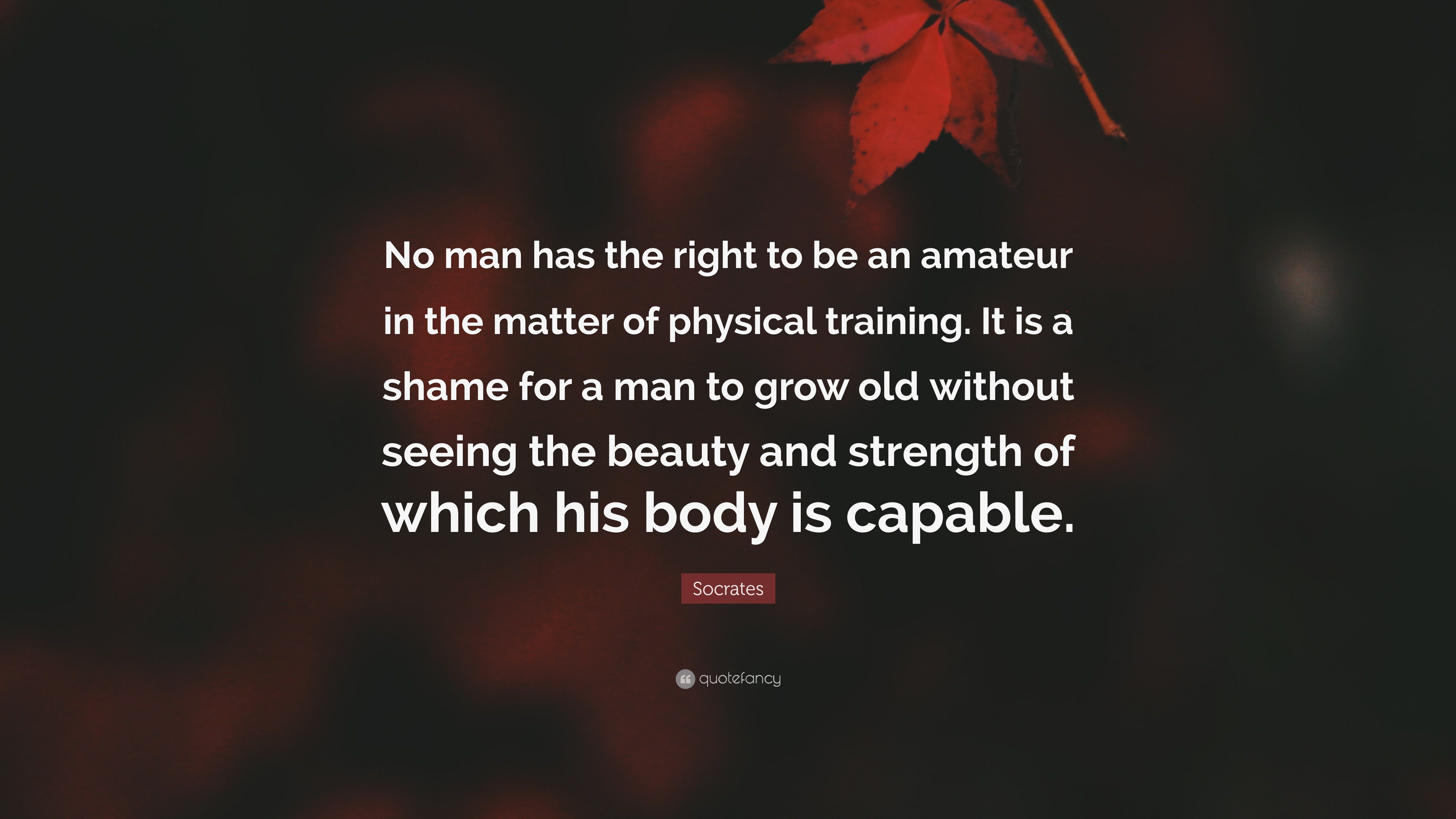 Socrates Quote: “No man has the right to be an amateur in the matter of ...