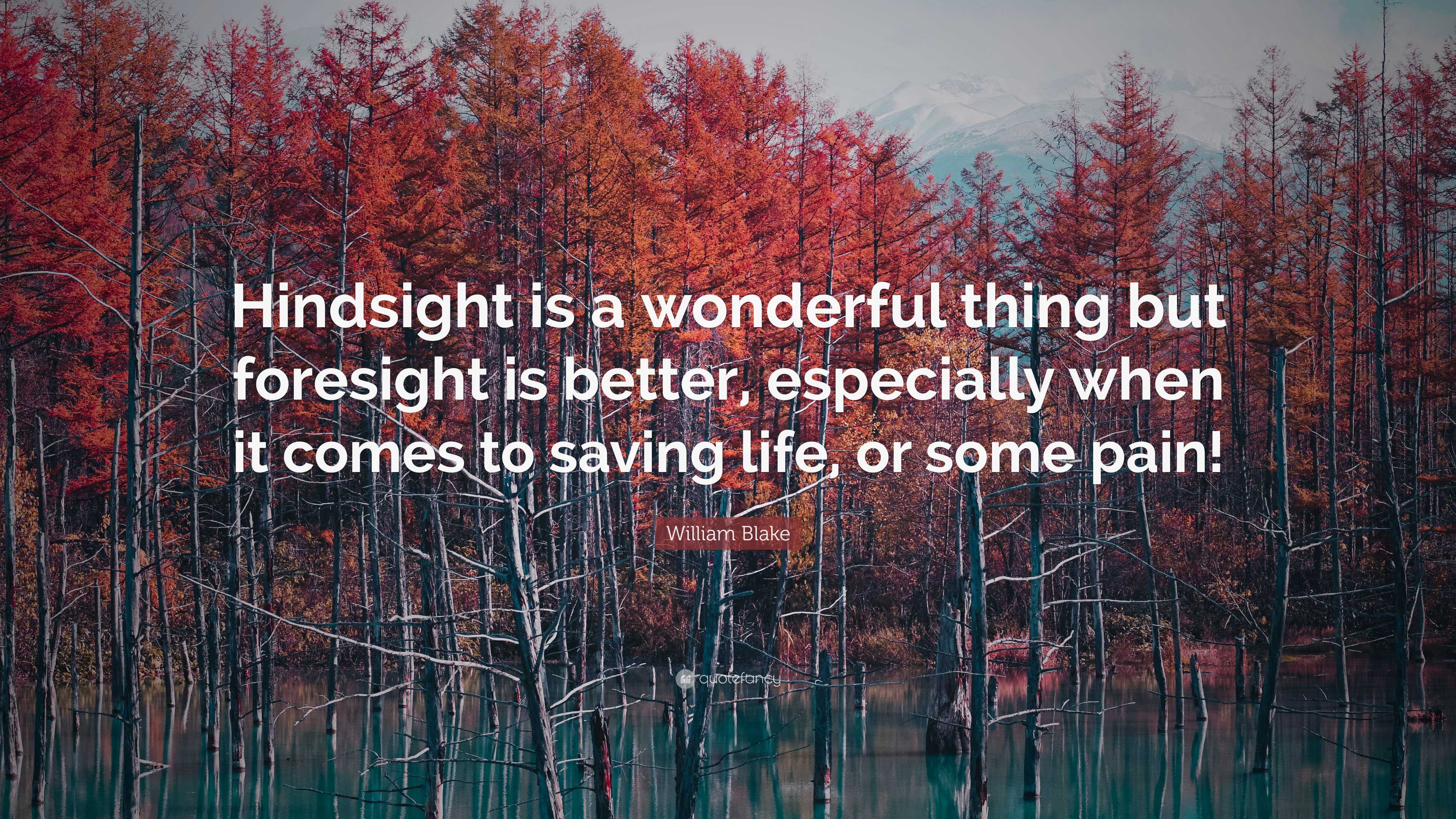 William Blake Quote: “Hindsight is a wonderful thing but foresight is ...