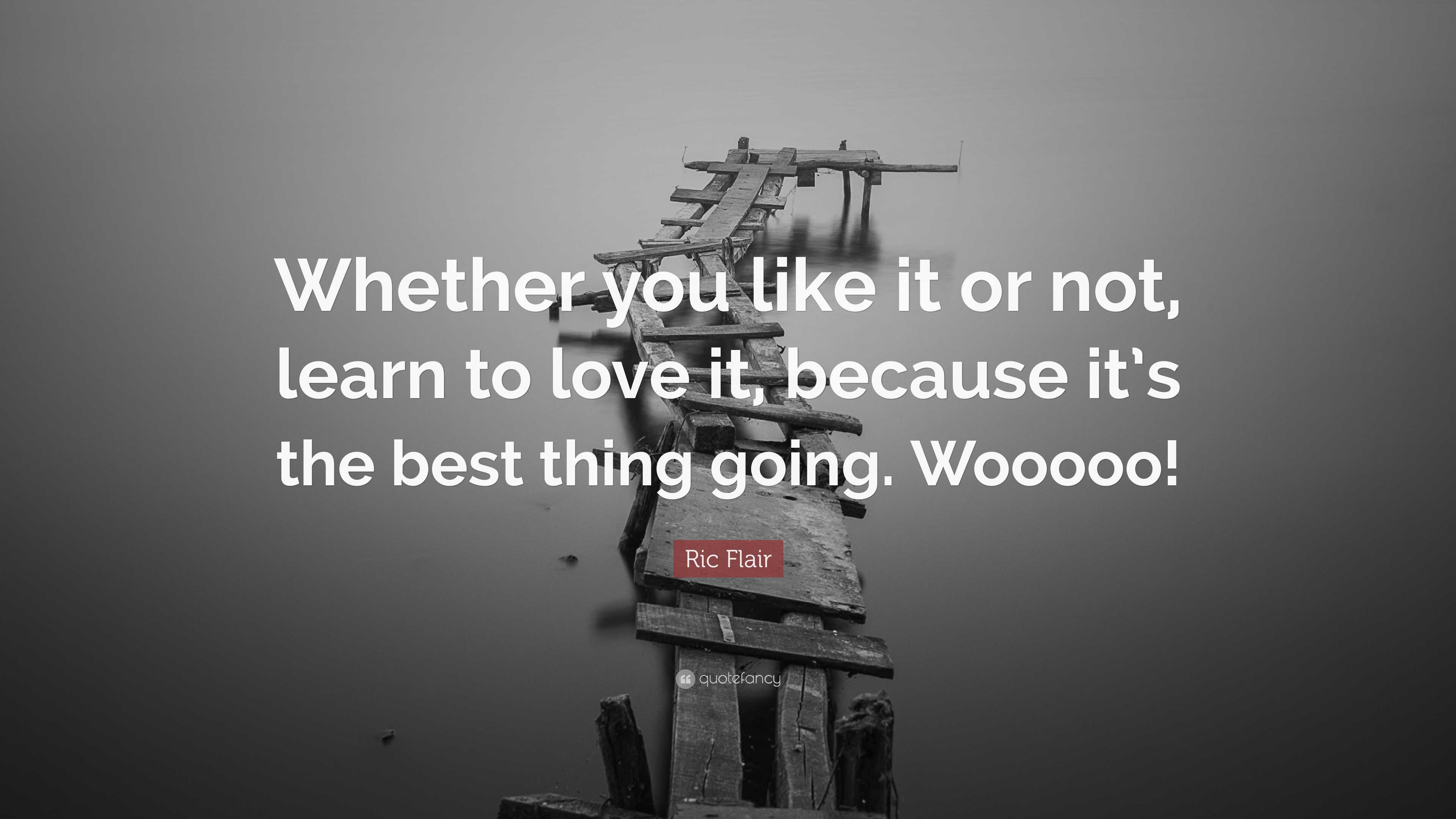 Ric Flair Quote: “Whether you like it or not, learn to love it, because ...