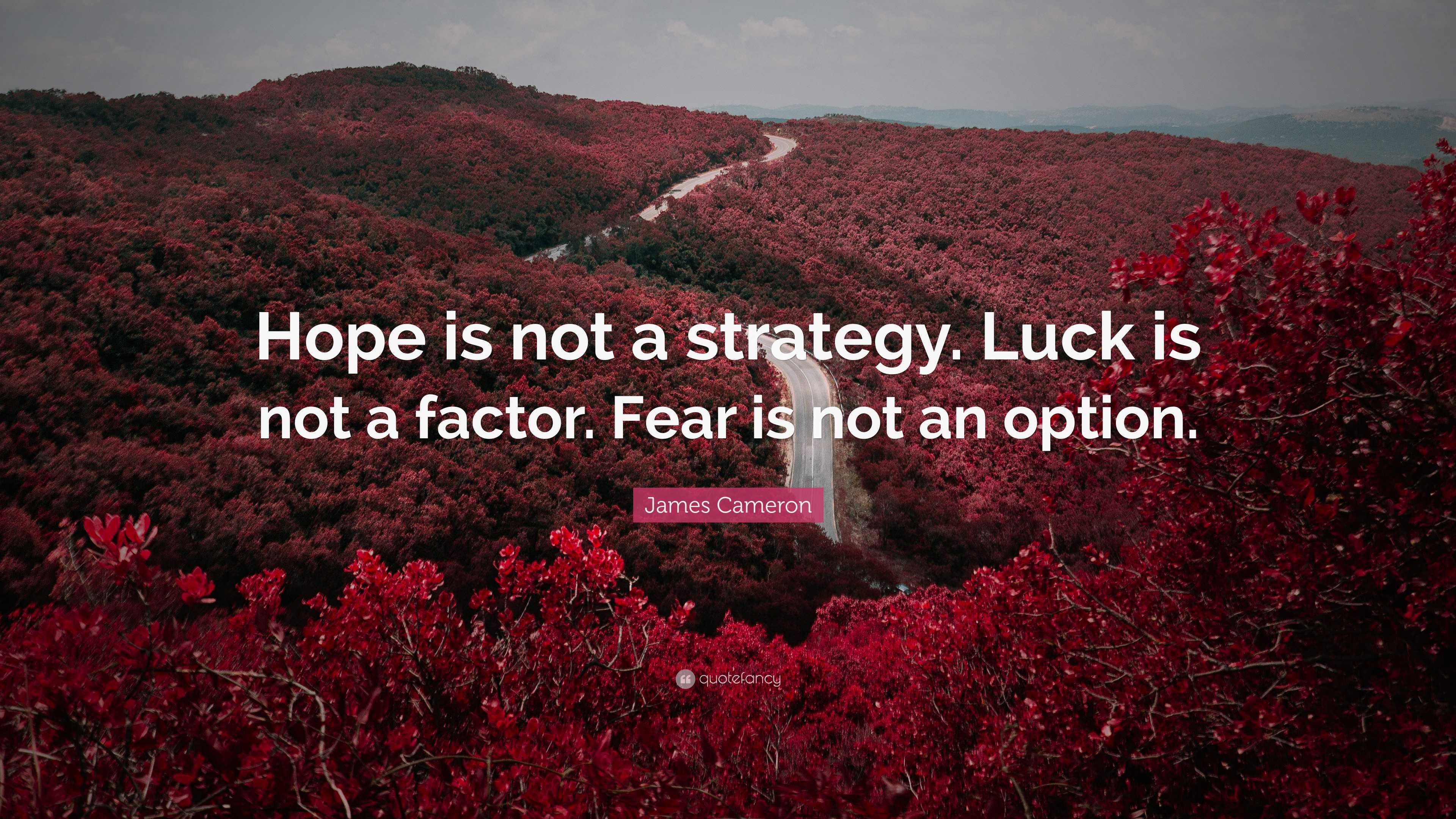 James Cameron Quote: “Hope is not a strategy. Luck is not a factor ...