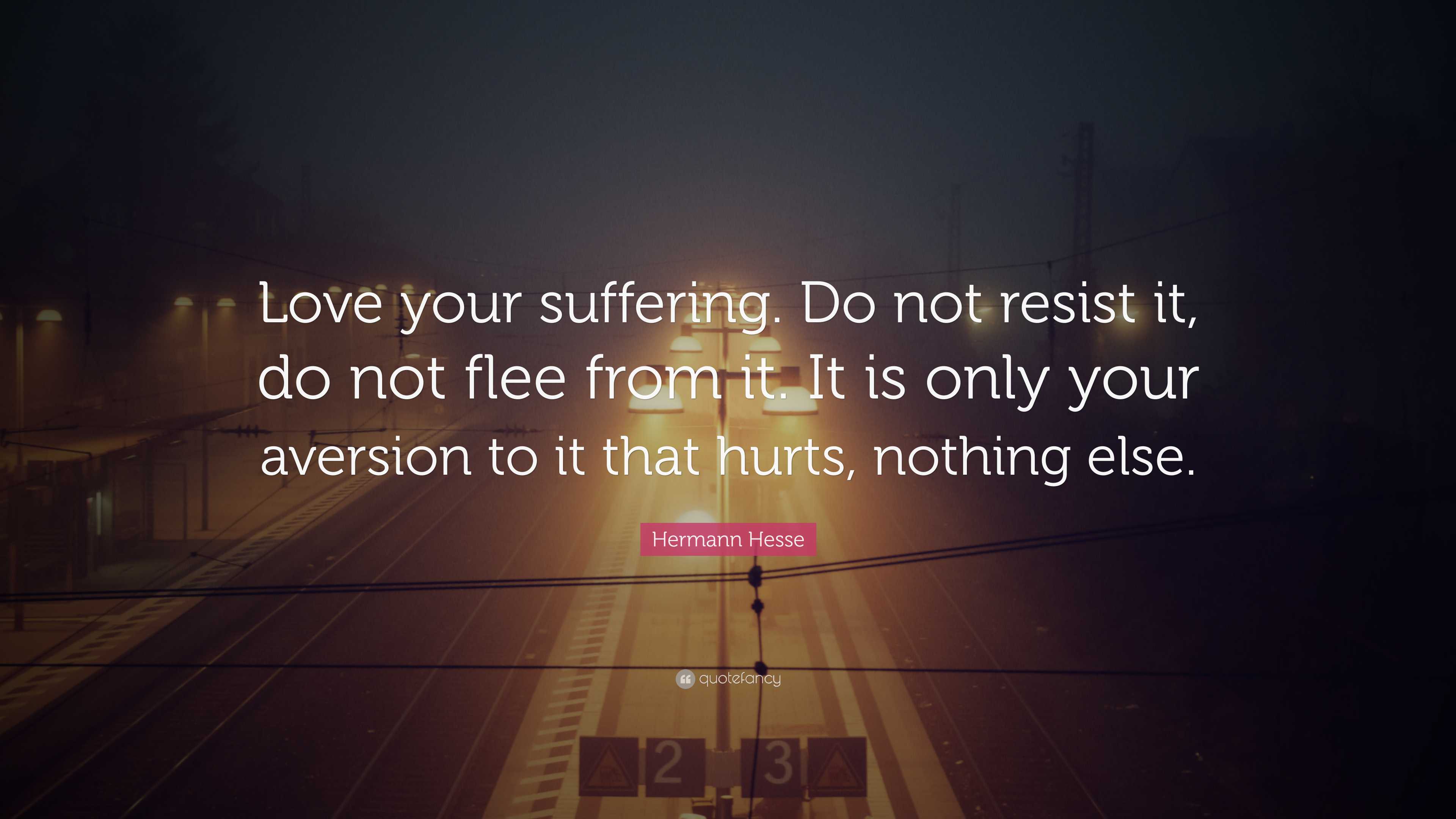 Hermann Hesse Quote: “Love your suffering. Do not resist it, do not ...