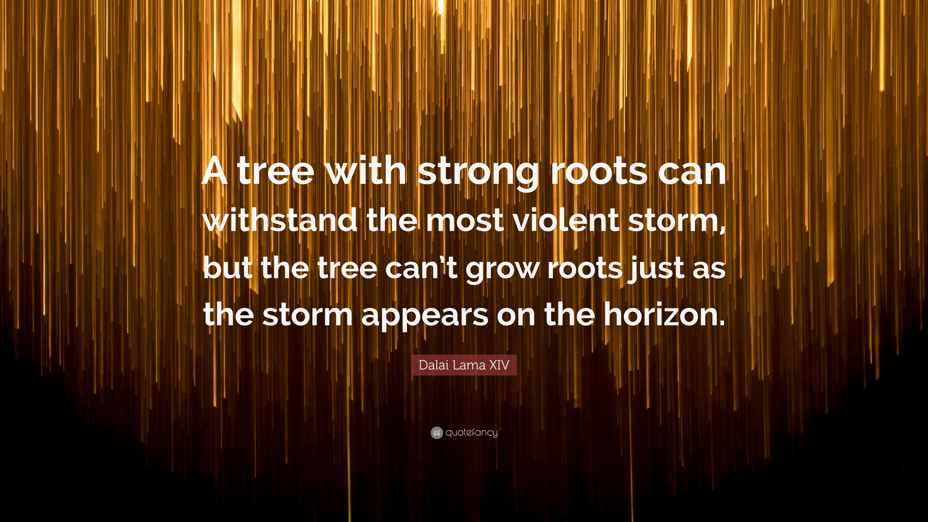 Dalai Lama XIV Quote: “A tree with strong roots can withstand the most ...