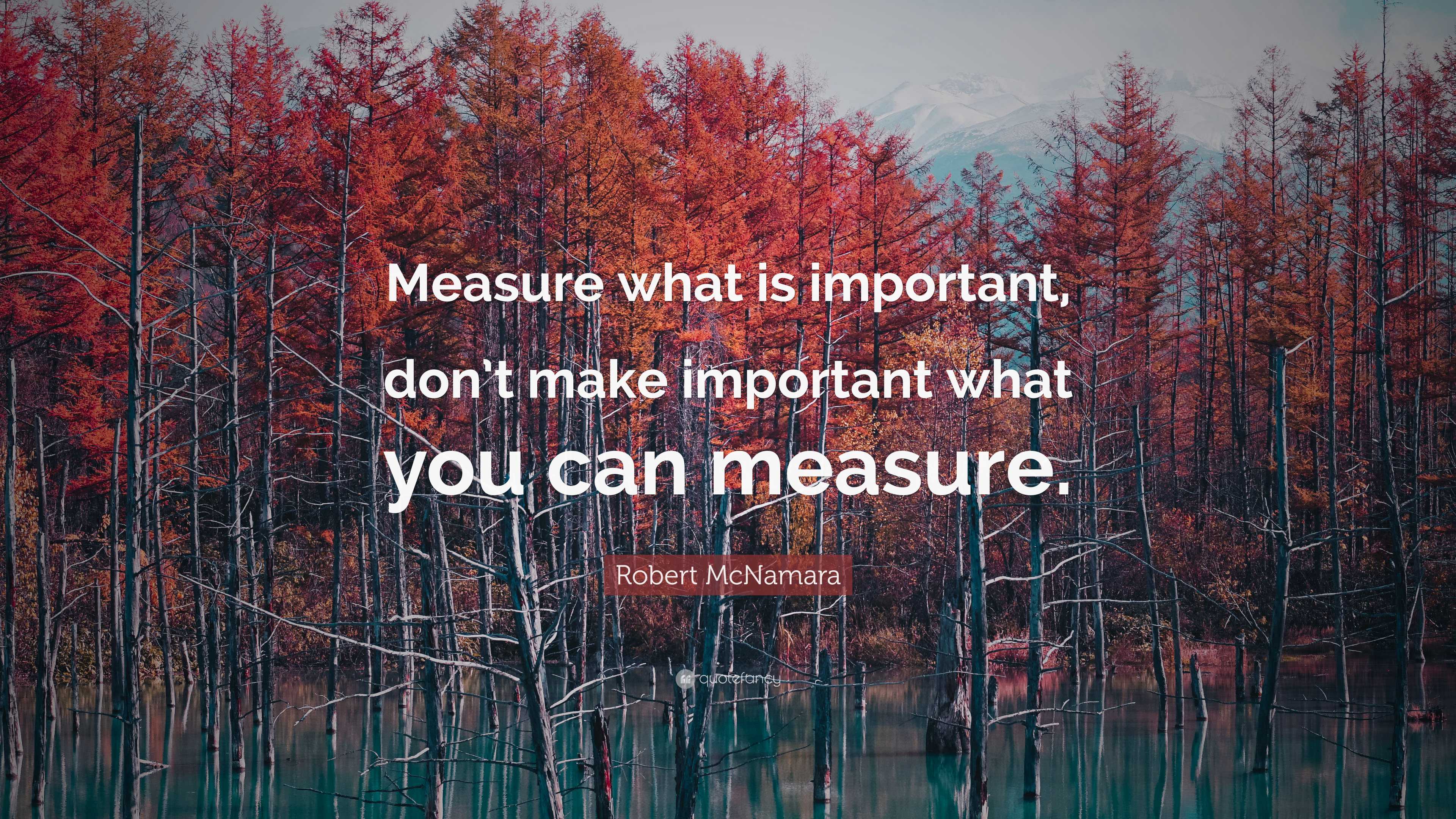 Robert McNamara Quote: “Measure what is important, don’t make important ...