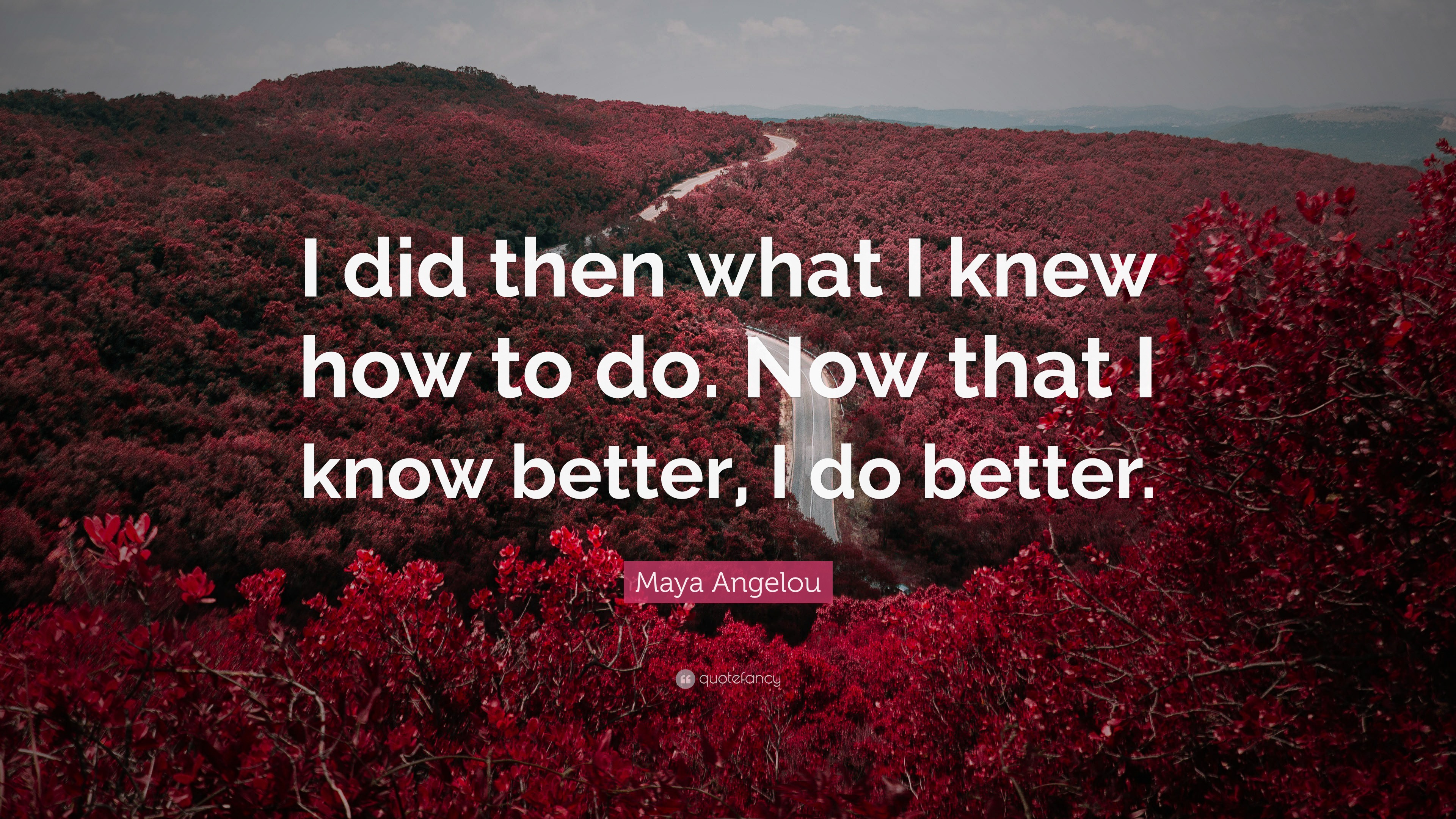 Maya Angelou Quote: “I did then what I knew how to do. Now that I know ...