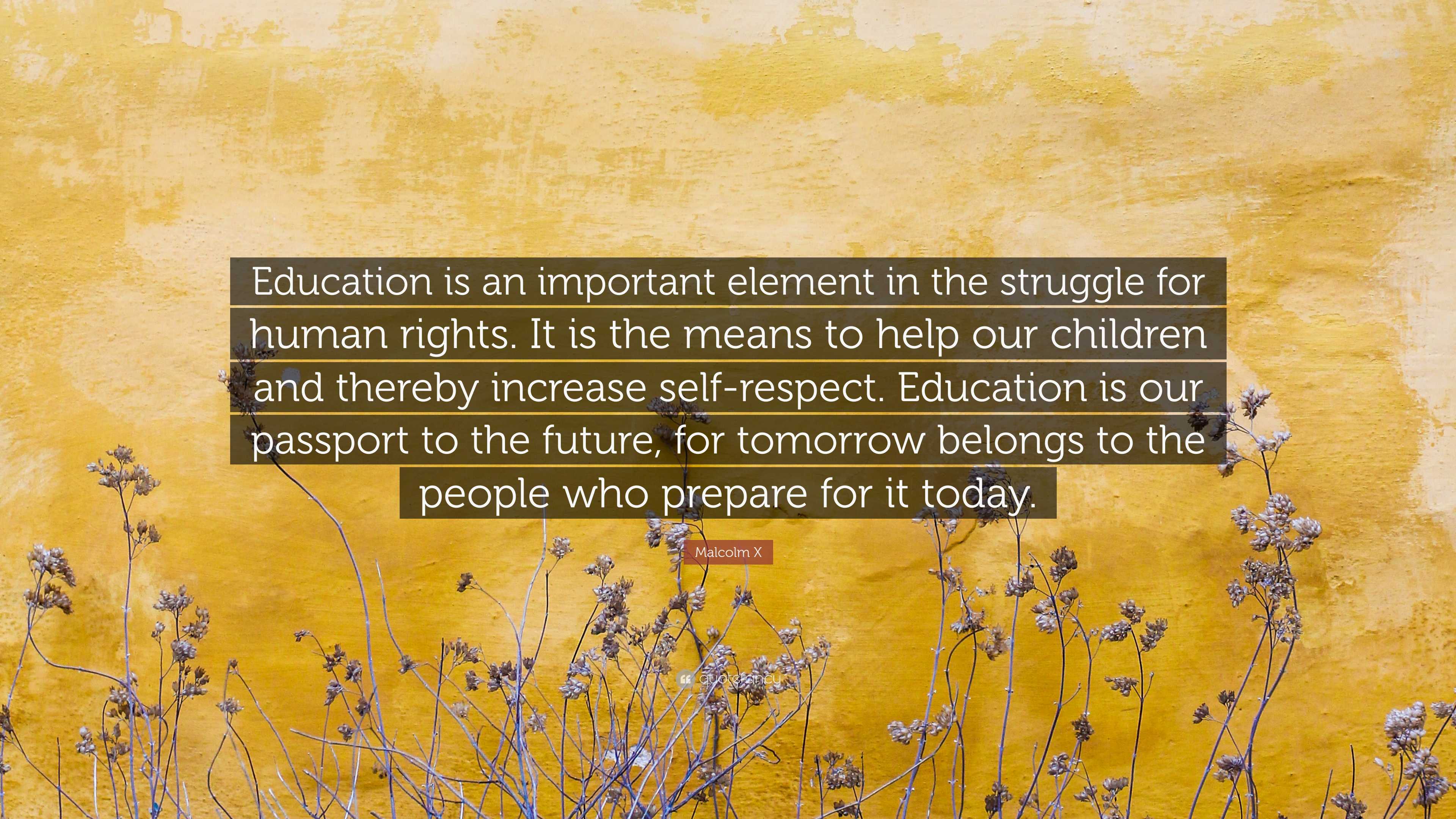 Malcolm X Quote: “Education is an important element in the struggle for ...