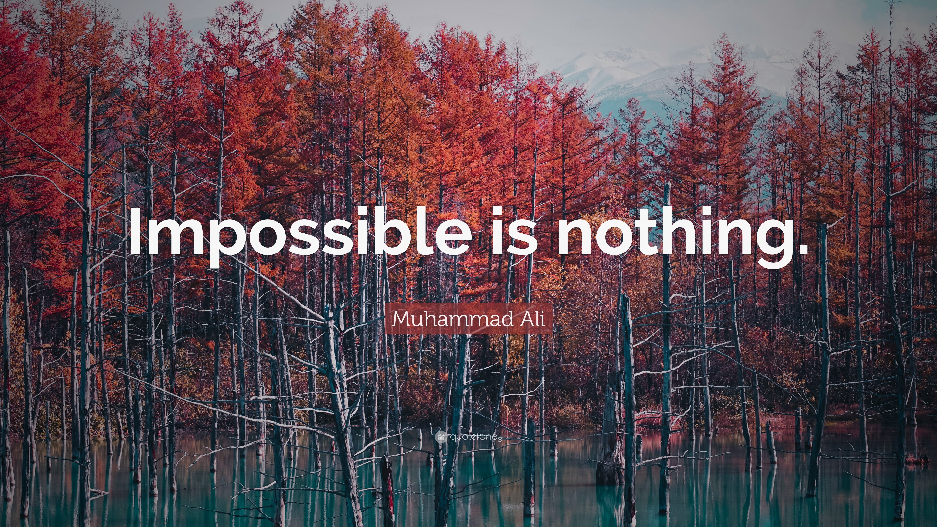Muhammad Ali Quote: “Impossible is nothing.”