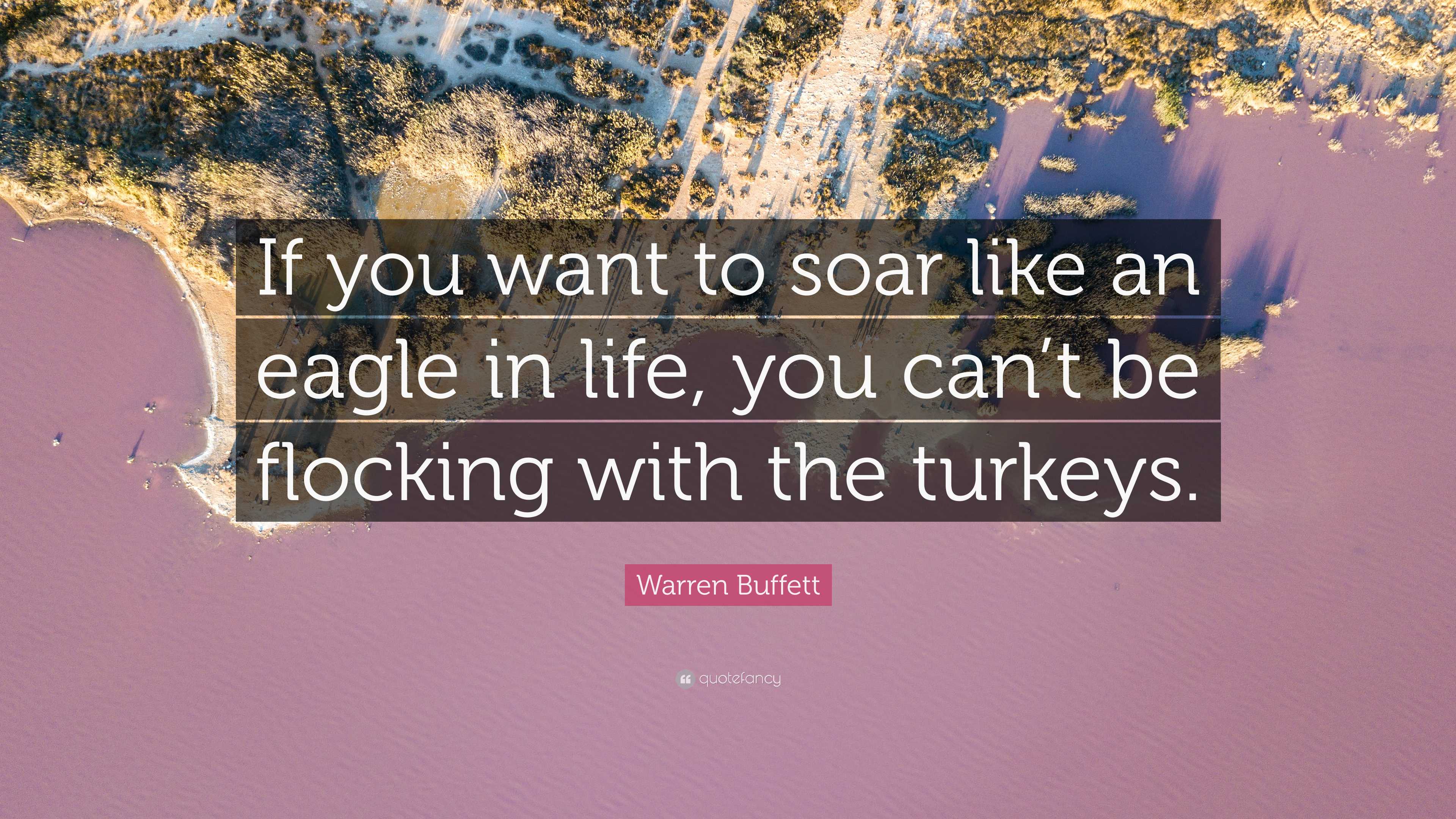 Warren Buffett Quote: “If you want to soar like an eagle in life, you ...