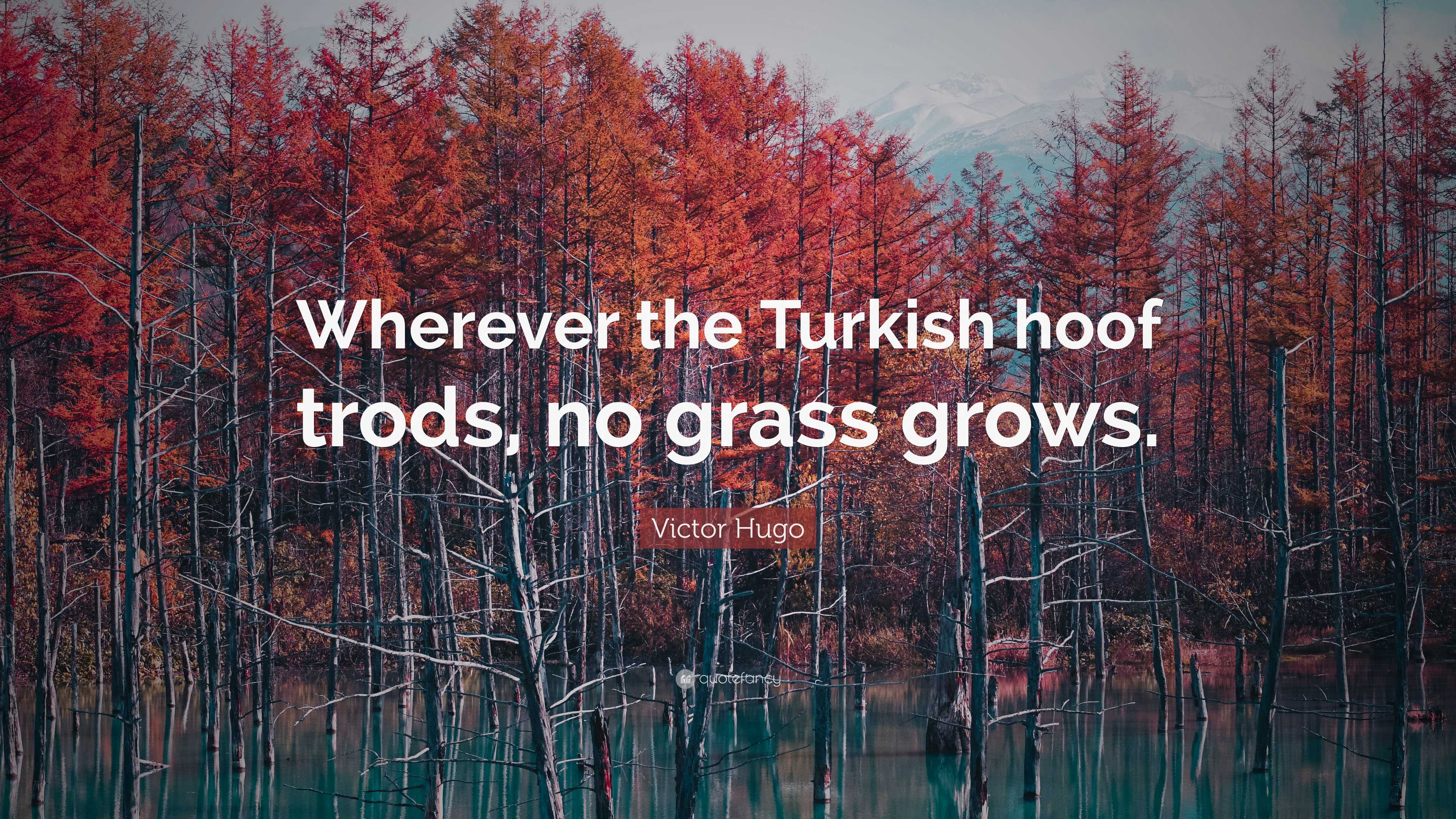 Victor Hugo Quote: “Wherever the Turkish hoof trods, no grass grows.”