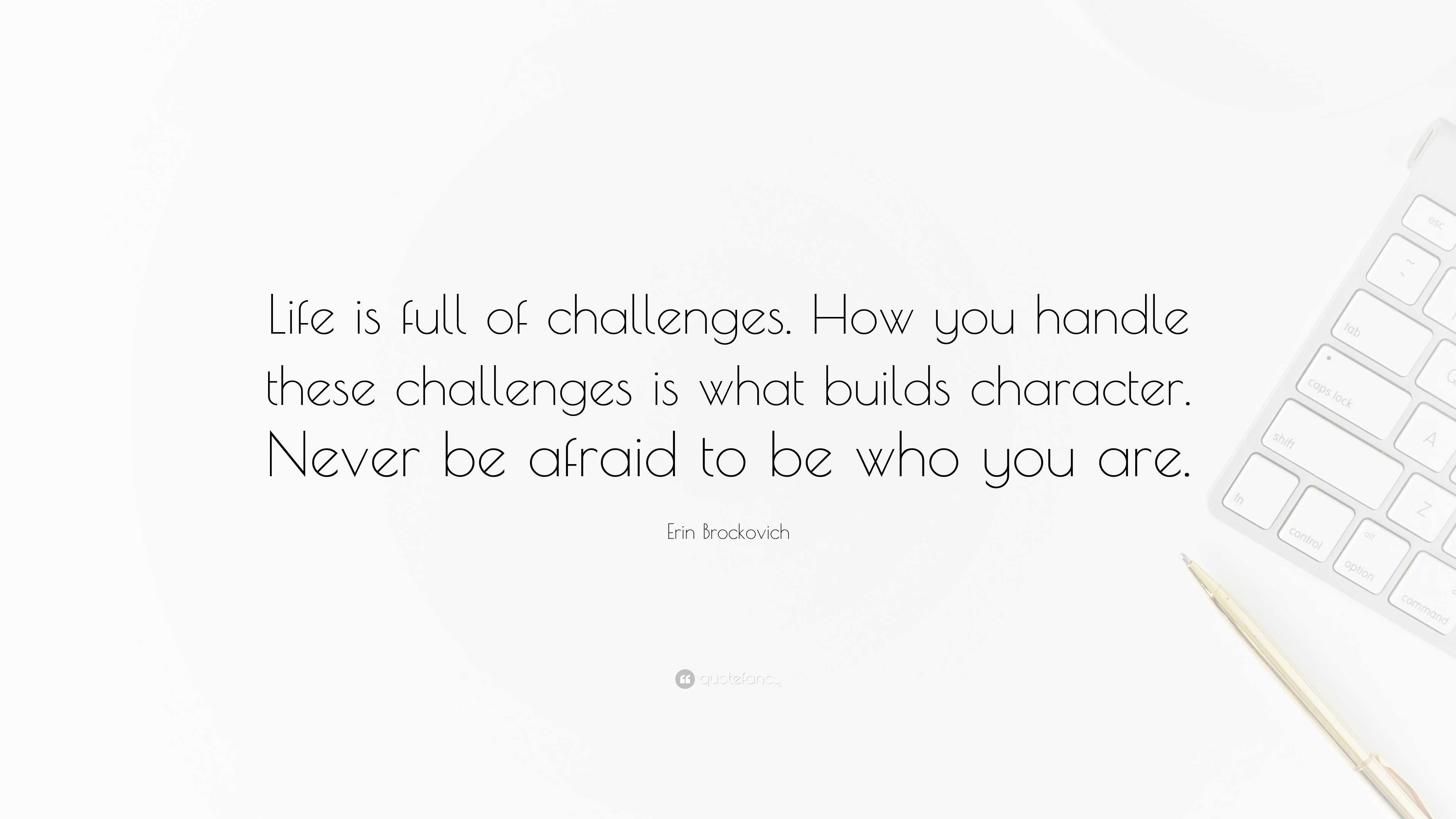 Erin Brockovich Quote: “Life is full of challenges. How you handle ...