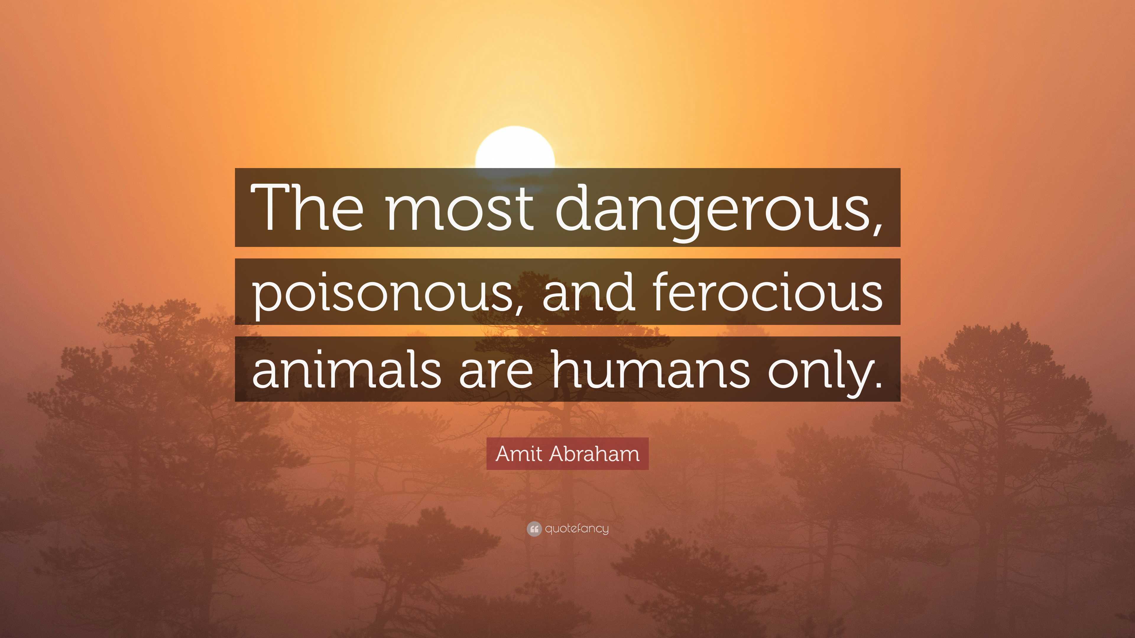 Amit Abraham Quote: “The most dangerous, poisonous, and ferocious ...