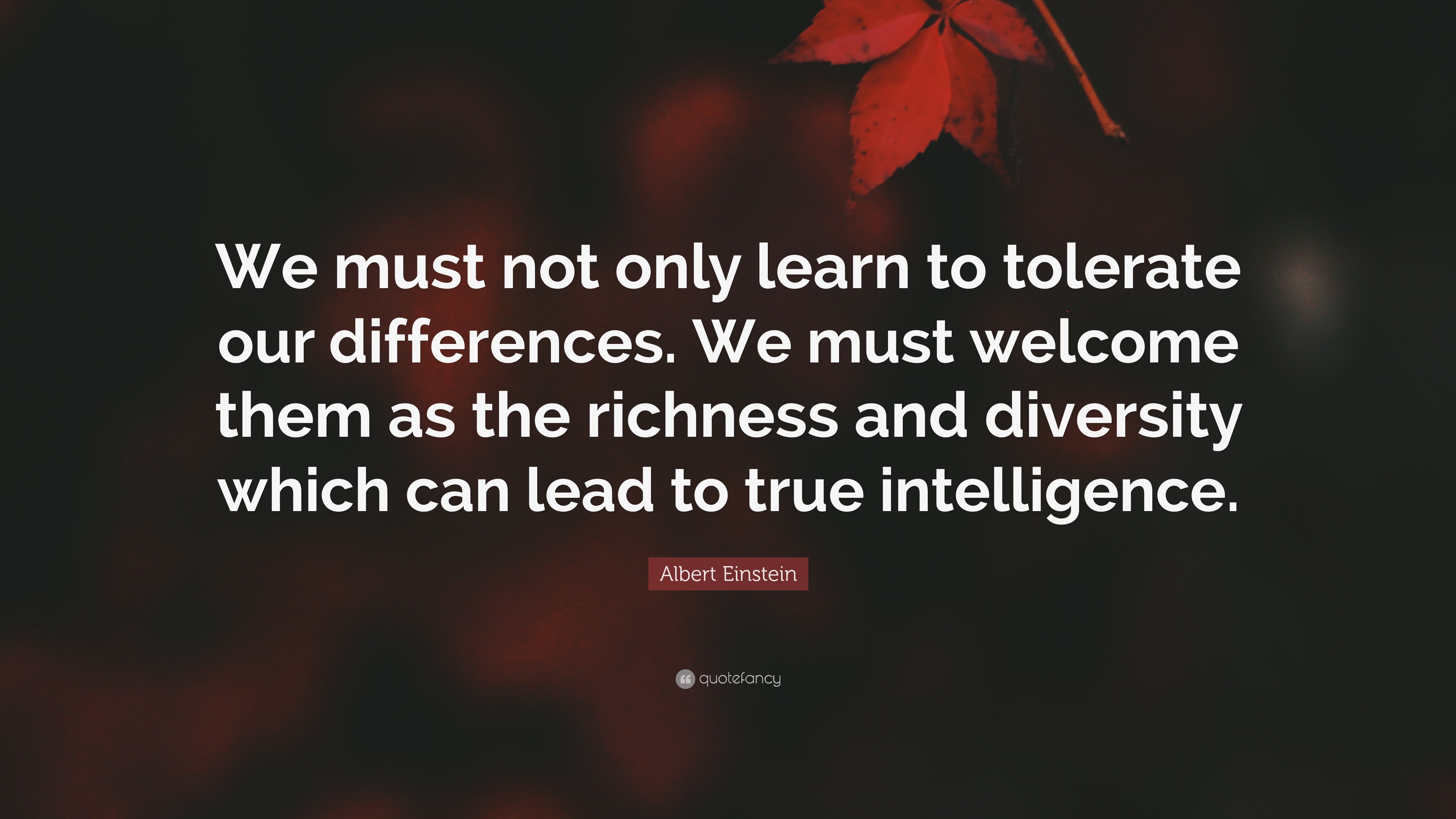 Albert Einstein Quote: “We must not only learn to tolerate our ...