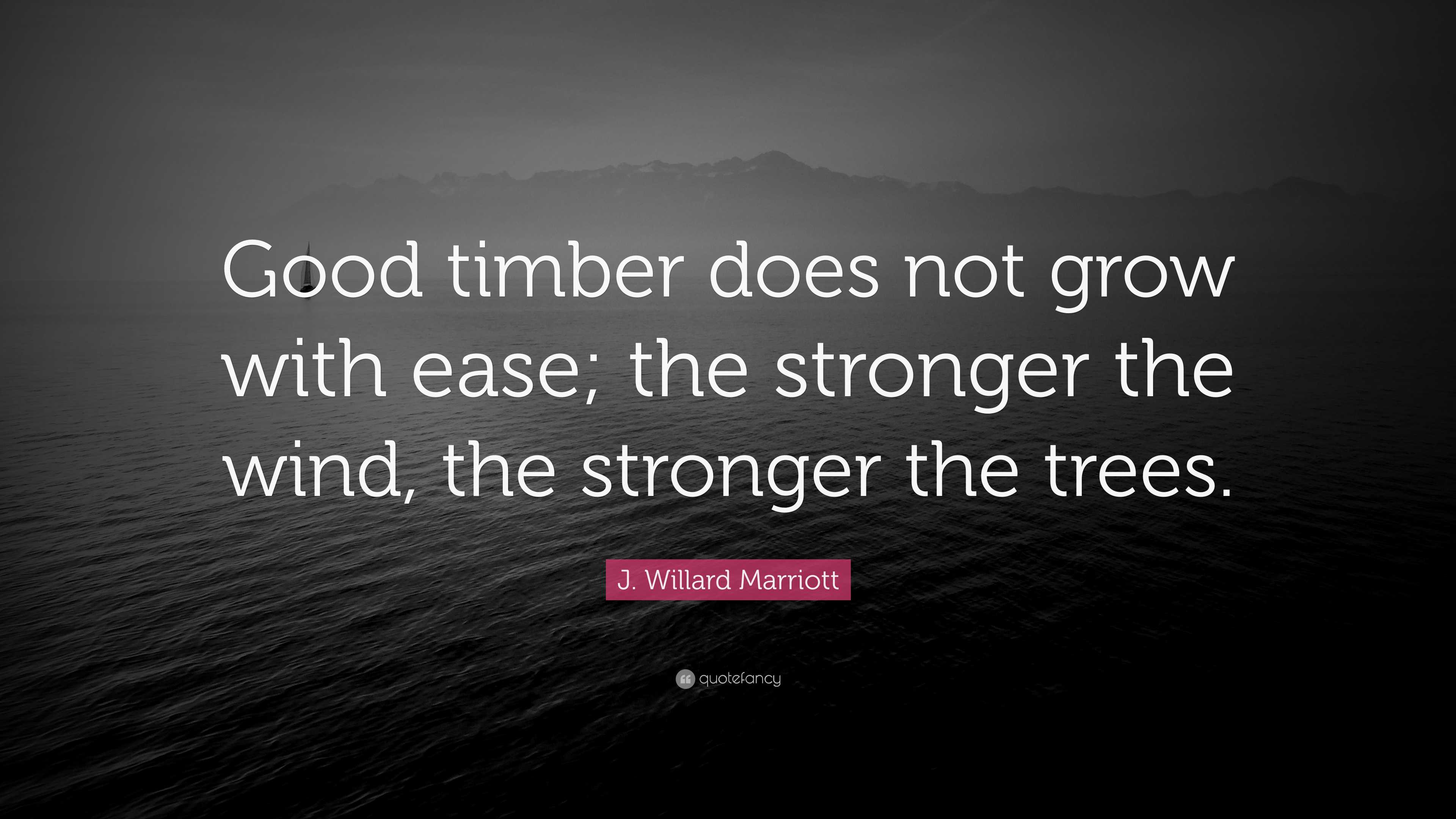 J. Willard Marriott Quote: “Good timber does not grow with ease; the ...