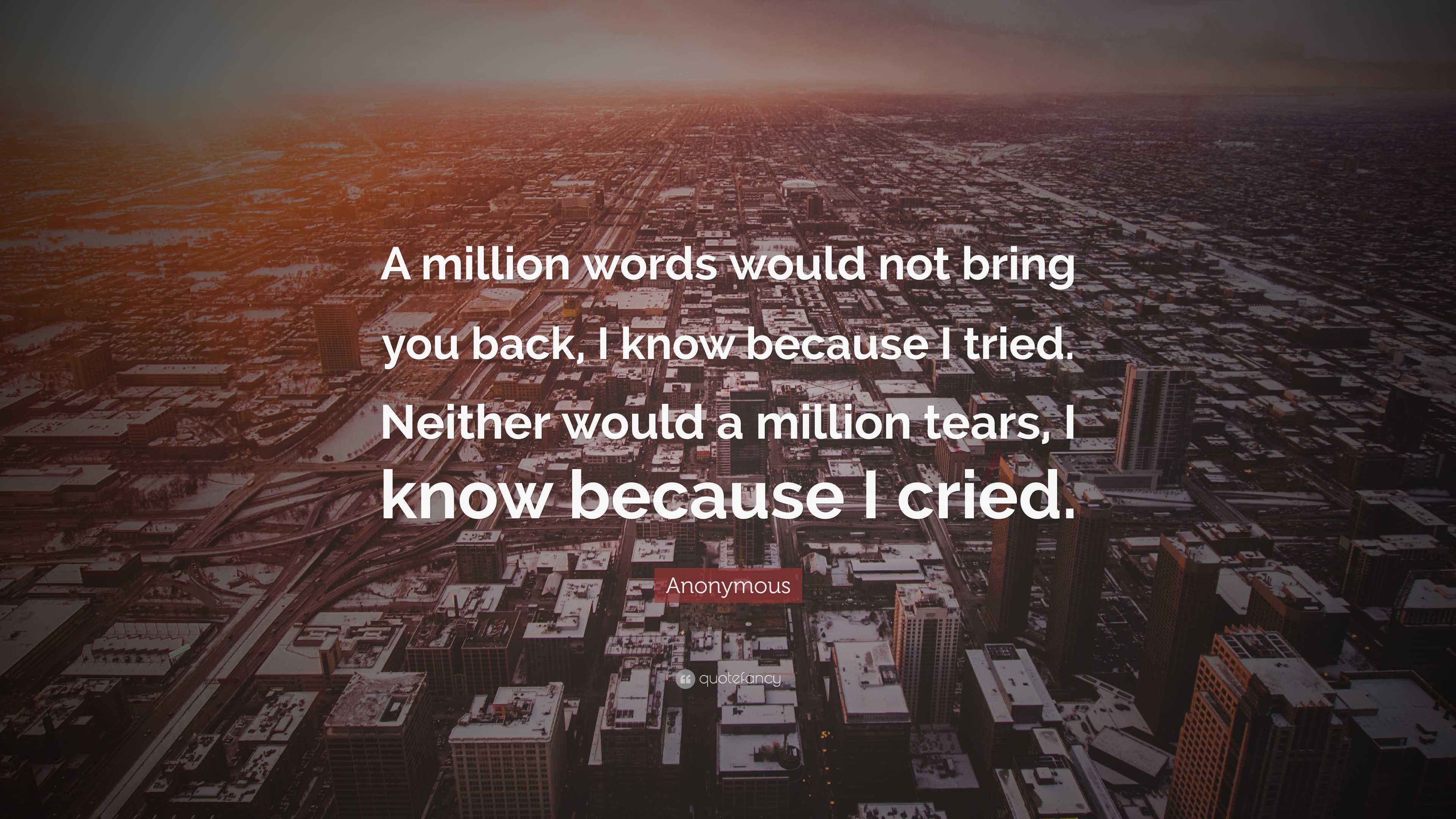 Anonymous Quote: “A million words would not bring you back, I know ...
