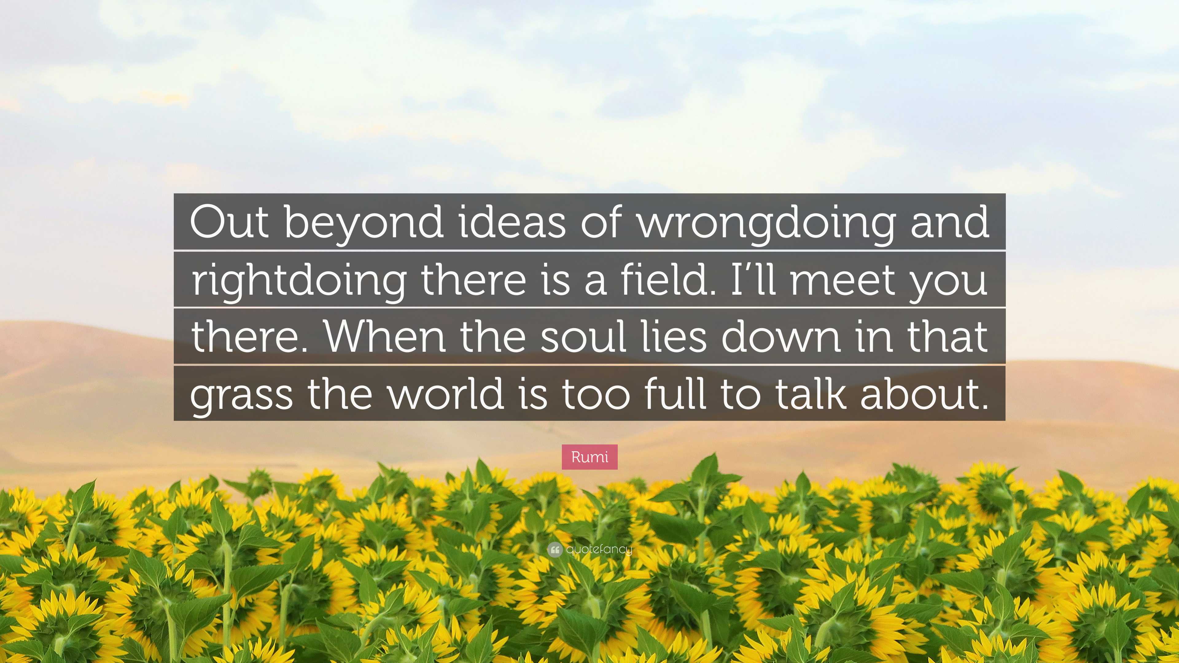 Rumi Quote: “Out beyond ideas of wrongdoing and rightdoing there is a ...