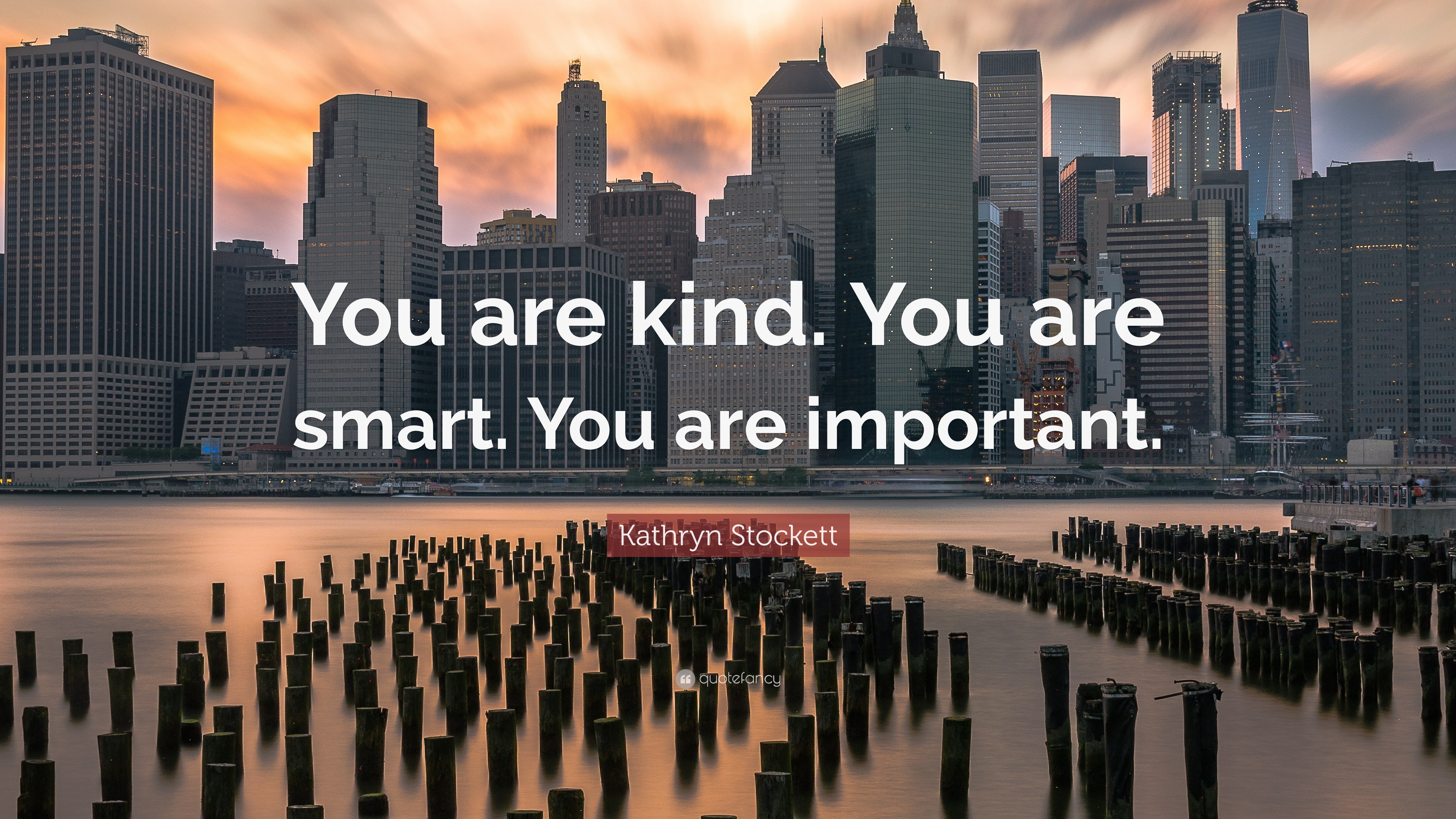 Kathryn Stockett Quote: “You are kind. You are smart. You are important.”