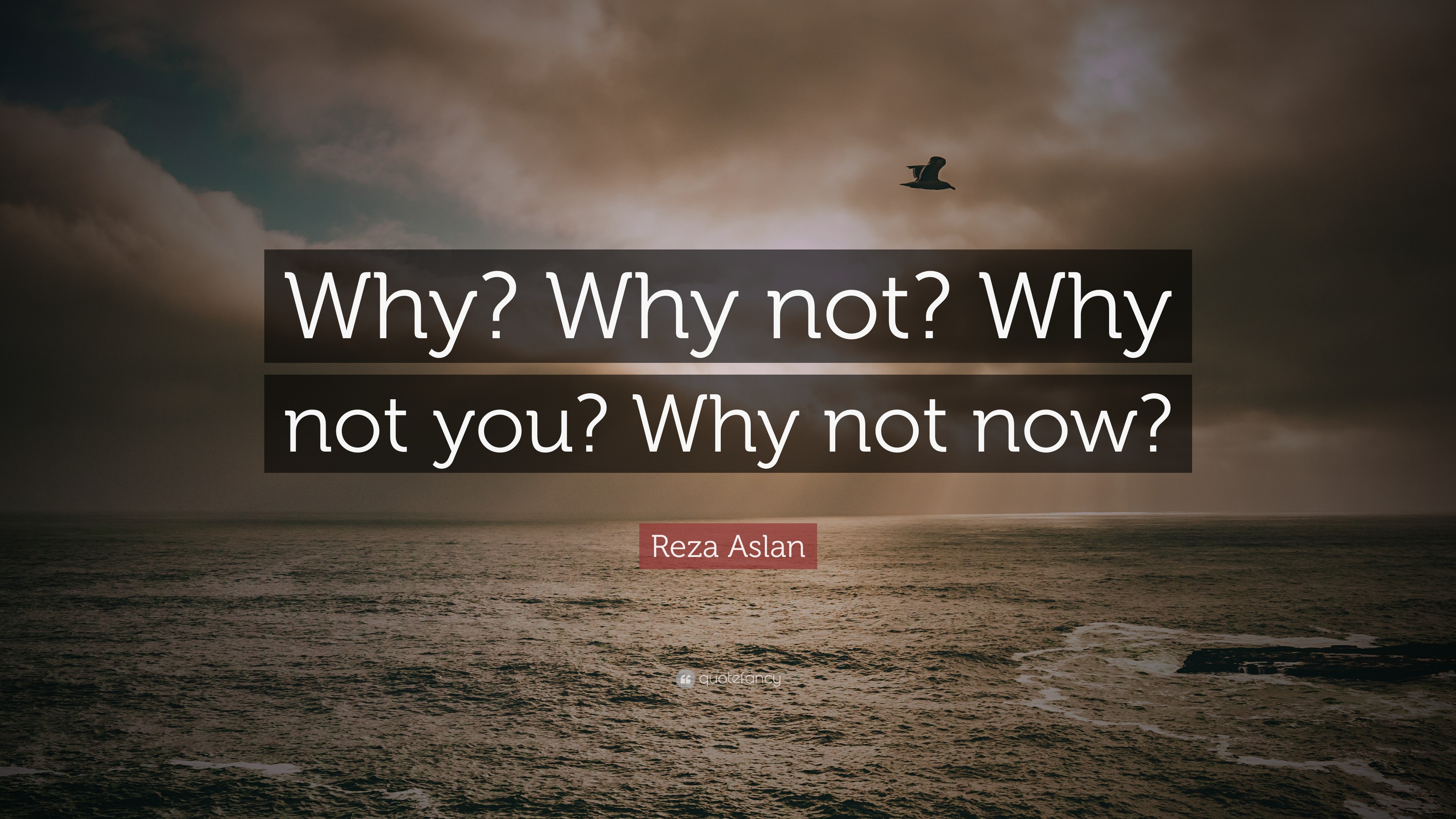 Reza Aslan Quote: “Why? Why not? Why not you? Why not now?”