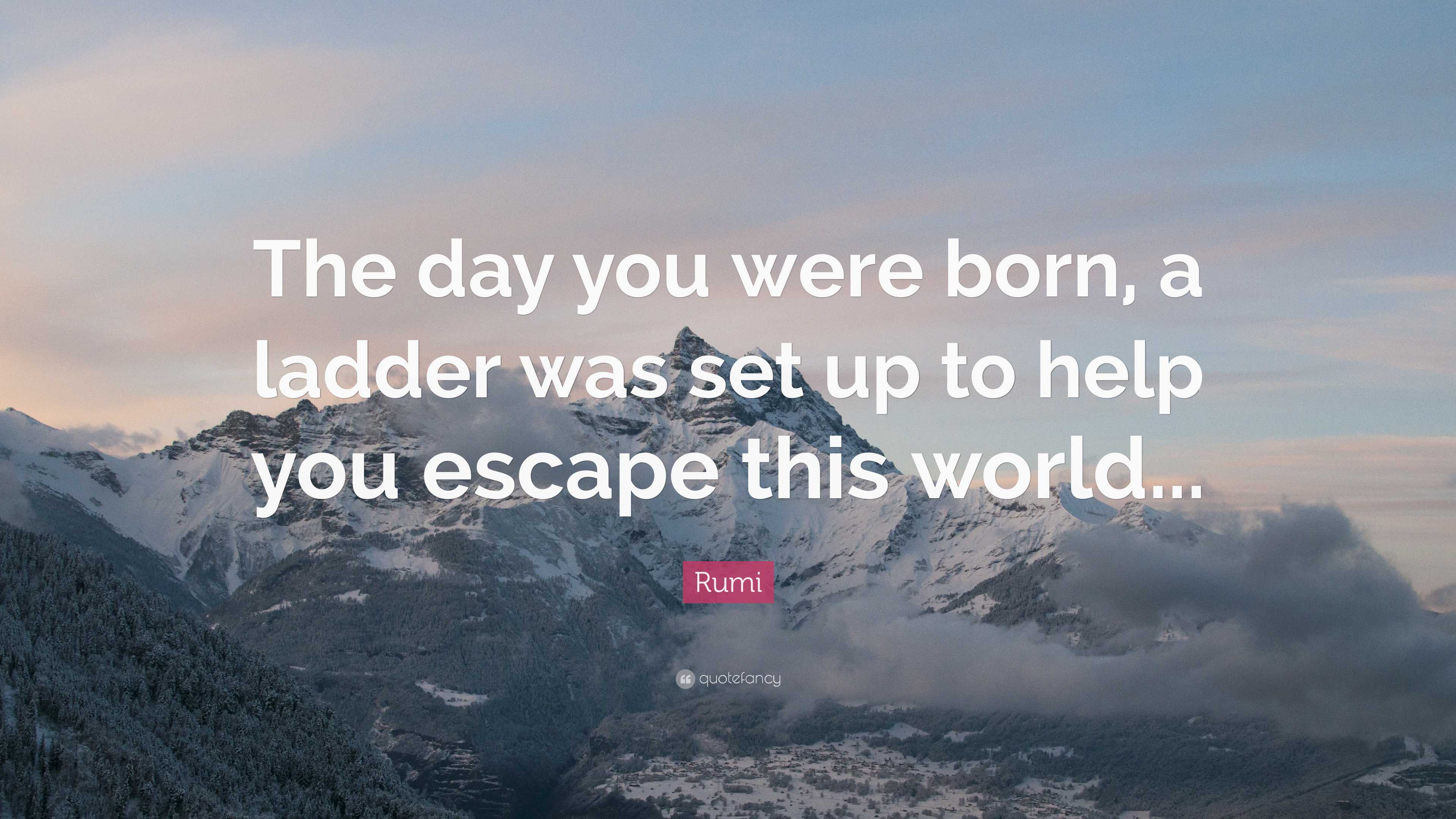 Rumi Quote: “The day you were born, a ladder was set up to help you ...
