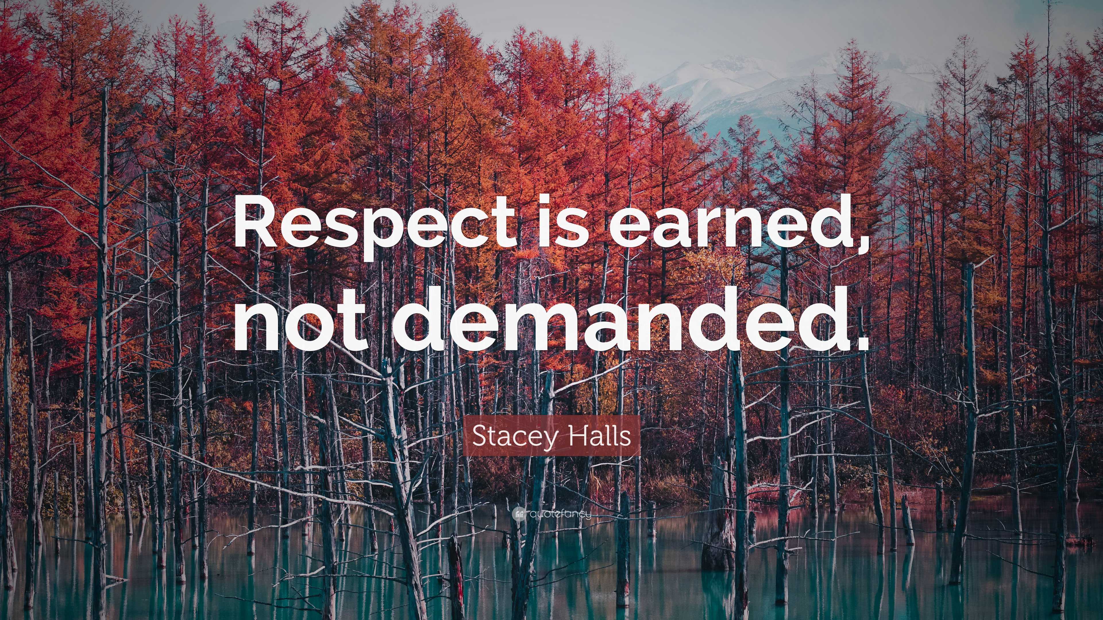 Stacey Halls Quote: “Respect is earned, not demanded.”