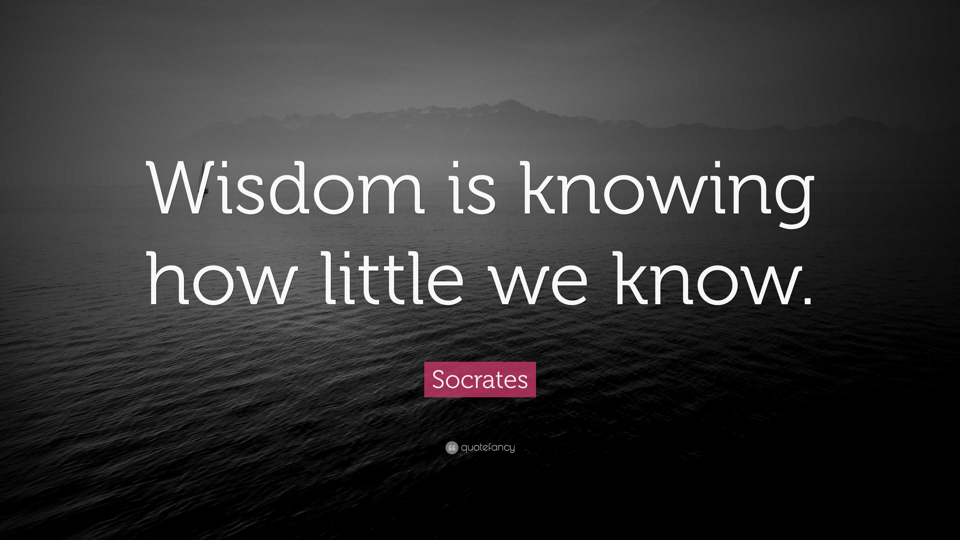 Socrates Quote: “Wisdom is knowing how little we know.”