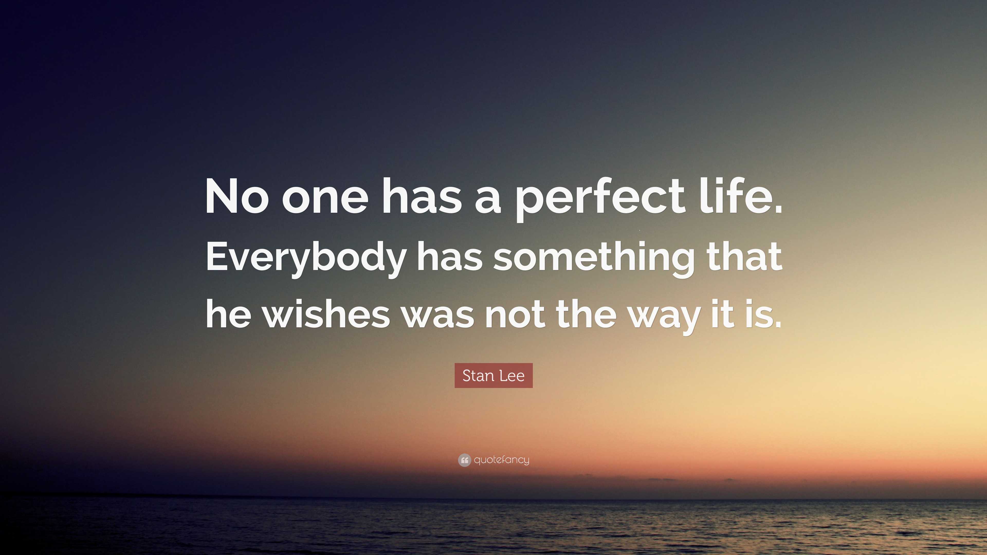 Stan Lee Quote: “No one has a perfect life. Everybody has something ...