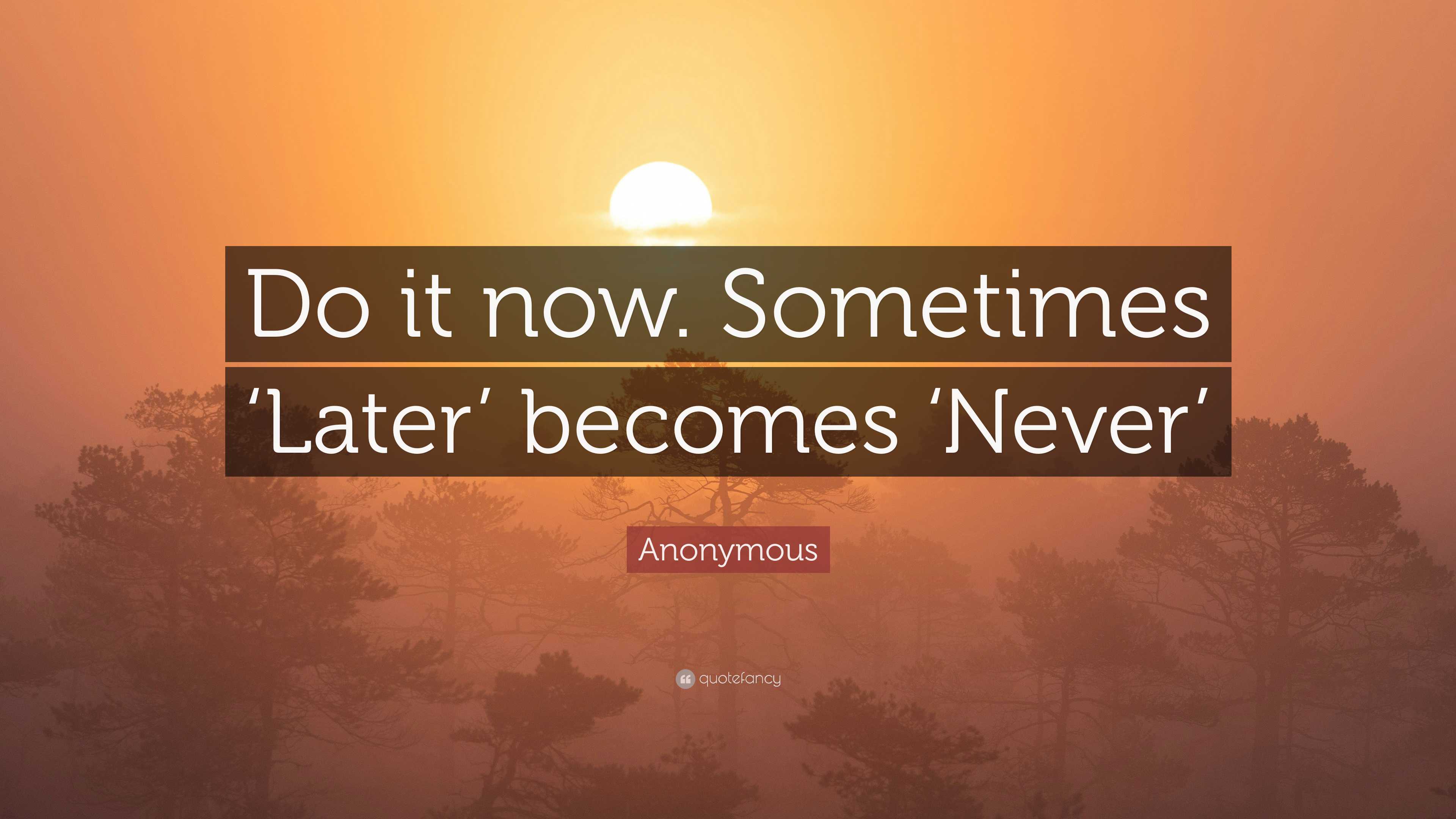 Anonymous Quote: “Do it now. Sometimes ‘Later’ becomes ‘Never’”