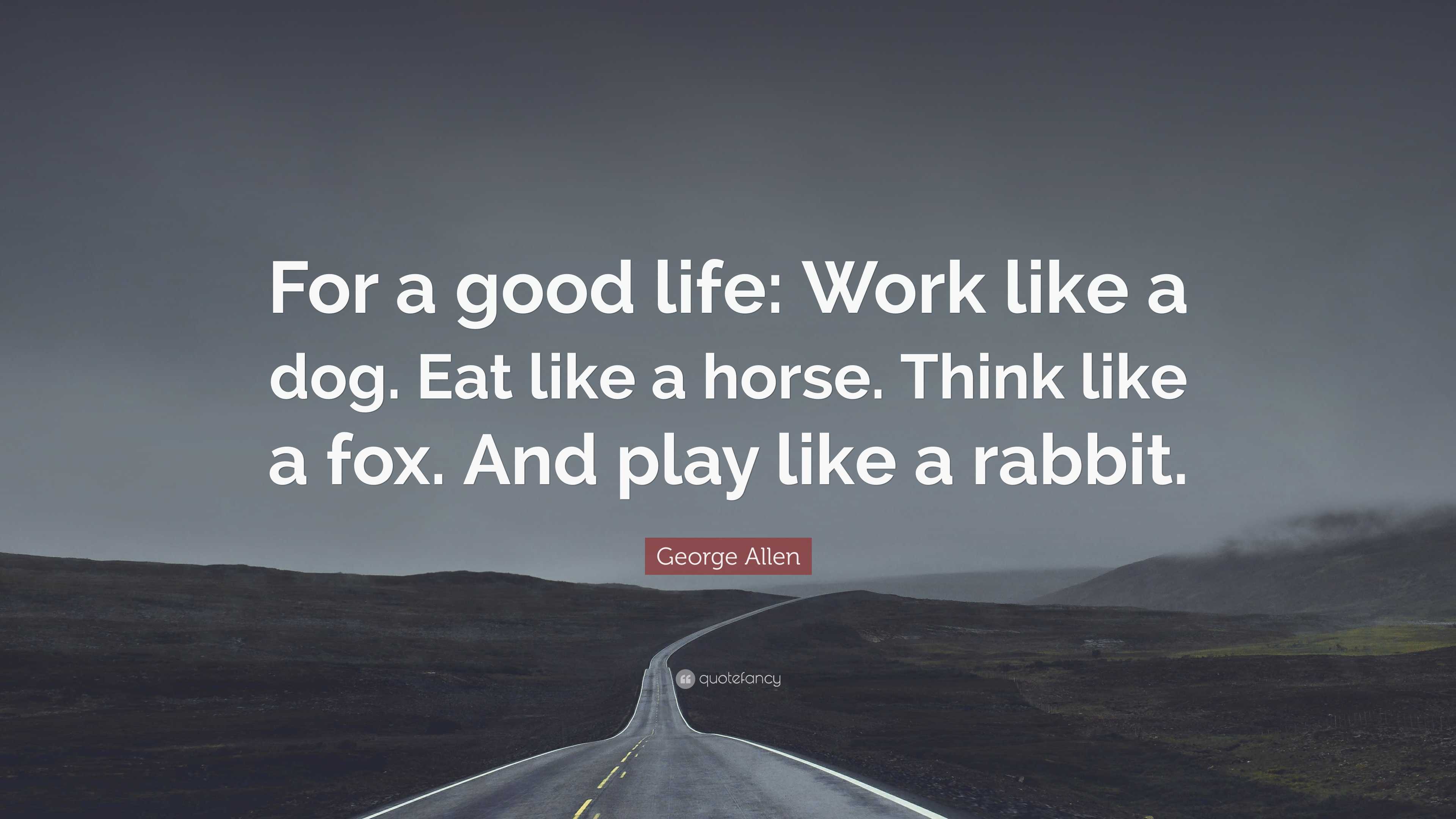 George Allen Quote: “For a good life: Work like a dog. Eat like a horse ...
