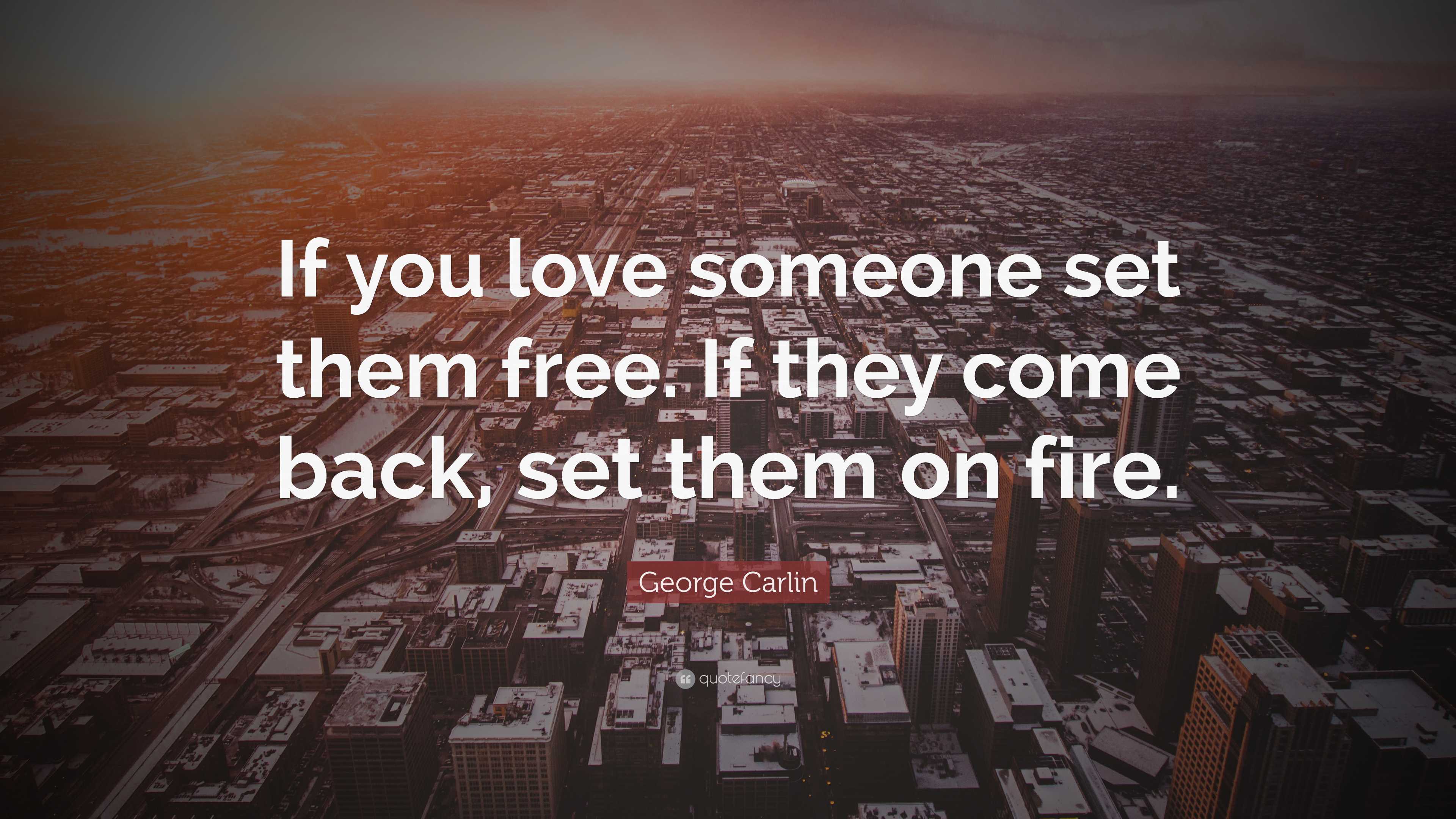George Carlin Quote: “If you love someone set them free. If they come ...