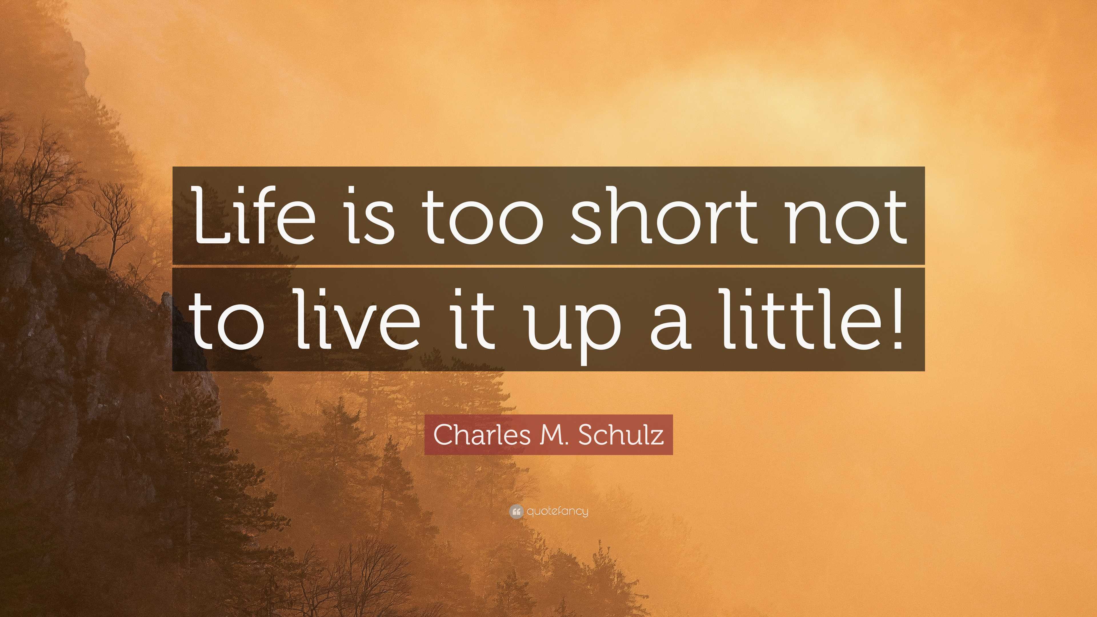 Charles M. Schulz Quote: “Life is too short not to live it up a little!”