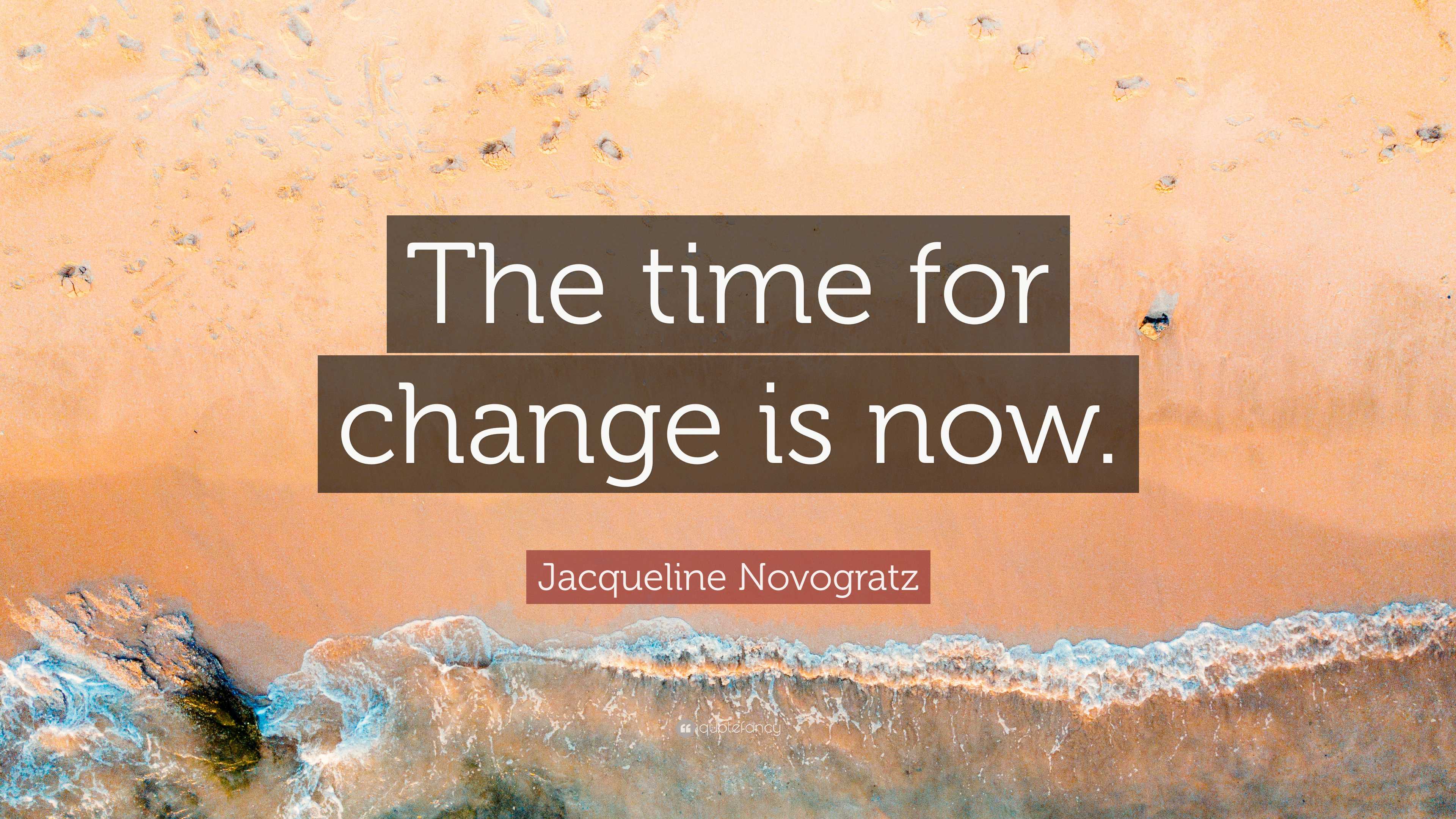 Jacqueline Novogratz Quote: “The time for change is now.”