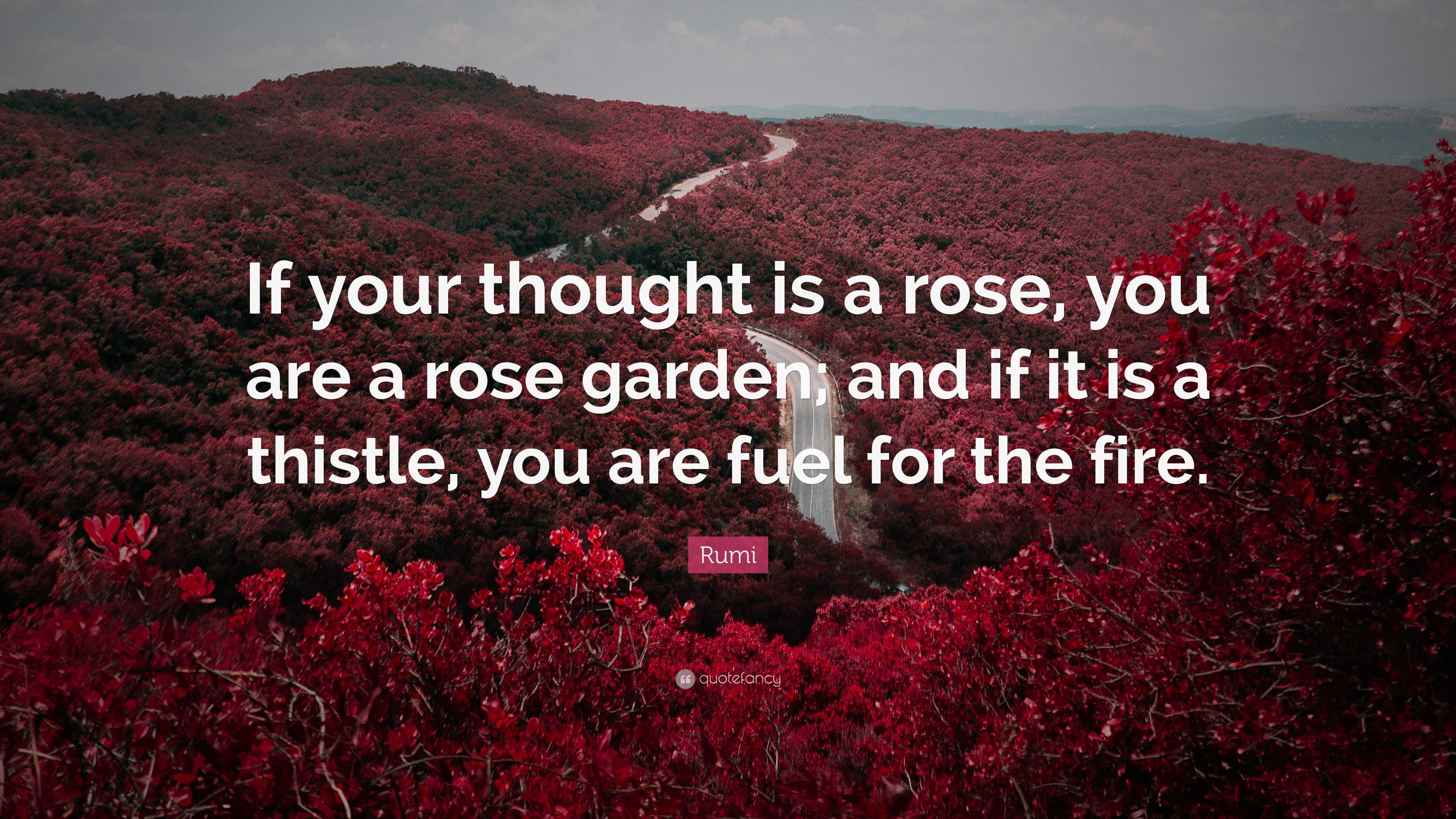 Rumi Quote: “If your thought is a rose, you are a rose garden; and if ...