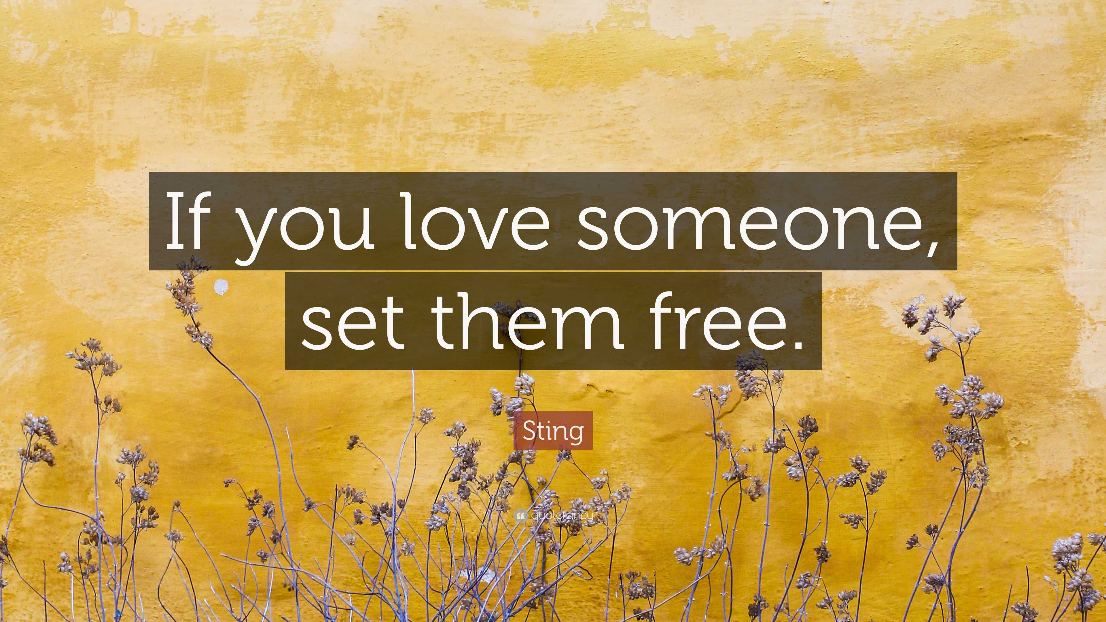 Sting Quote: “If you love someone, set them free.”