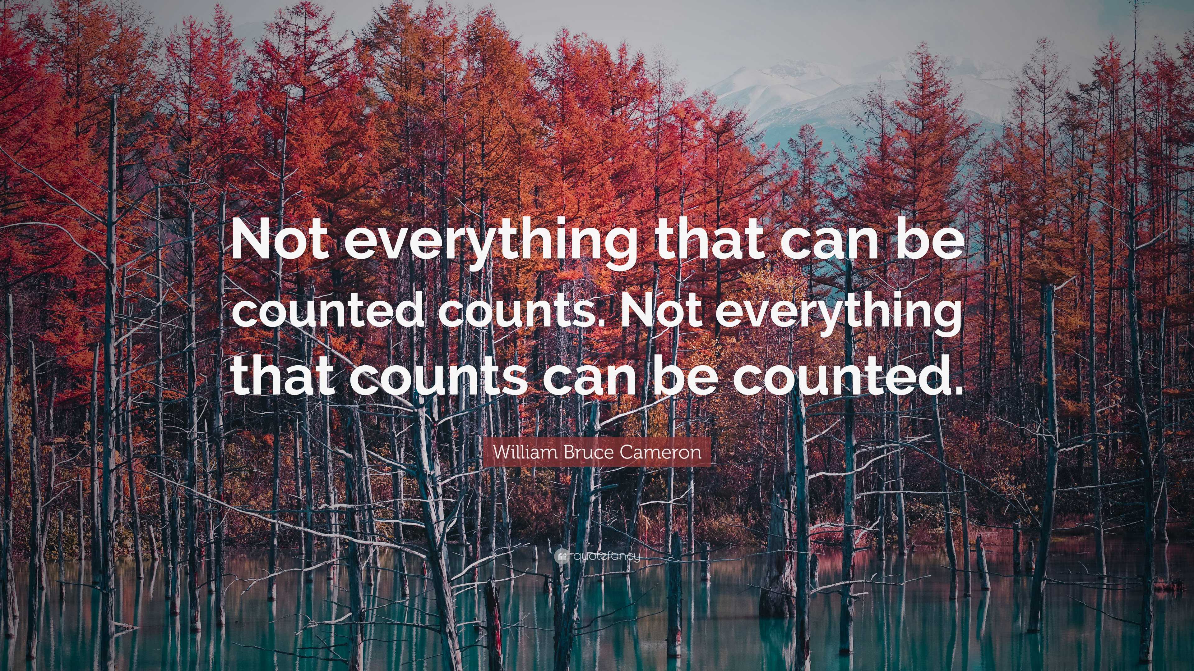 William Bruce Cameron Quote: “Not everything that can be counted counts ...