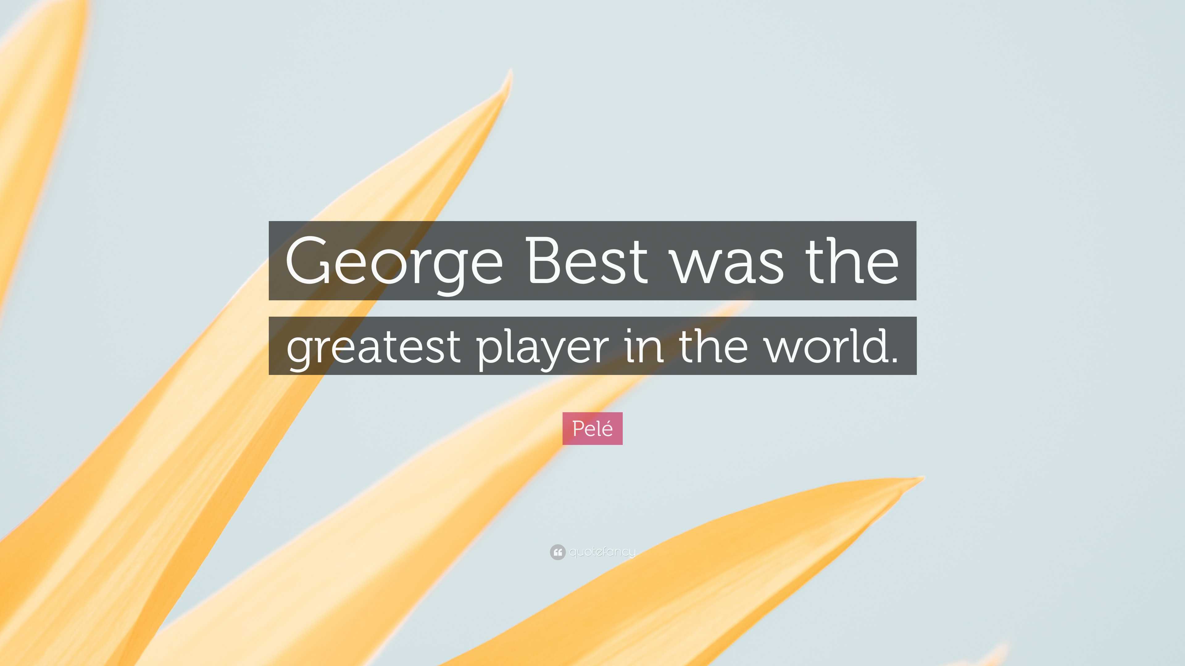 Pelé Quote: “George Best was the greatest player in the world.”