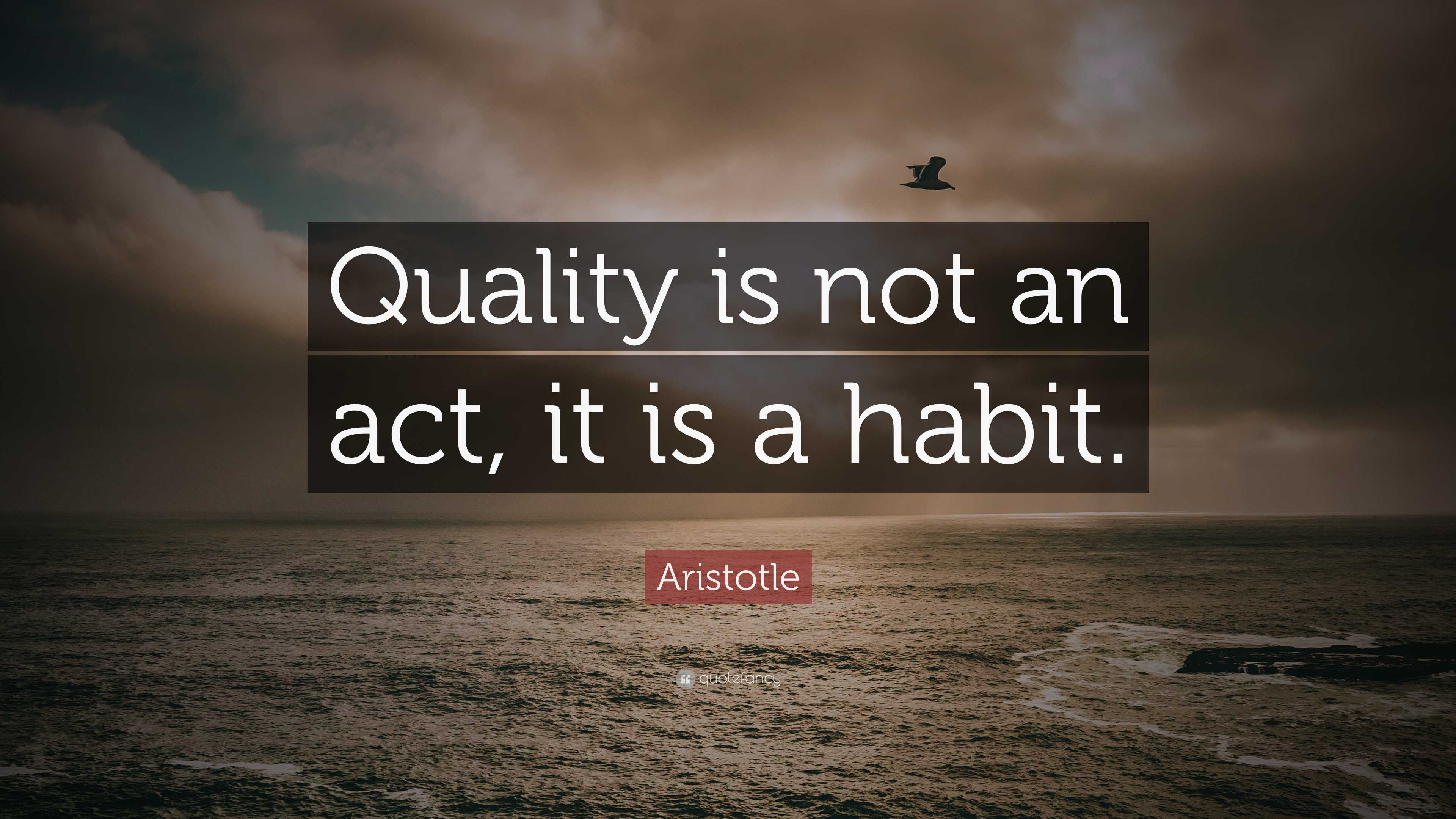 Aristotle Quote: “Quality is not an act, it is a habit.”