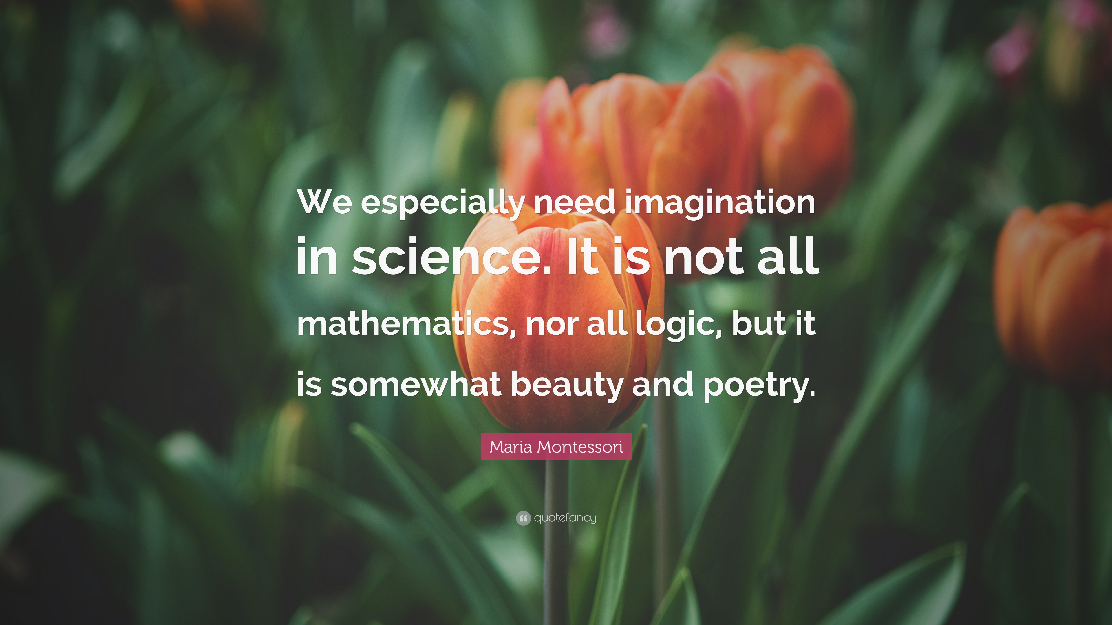 Montessori Science Quotes