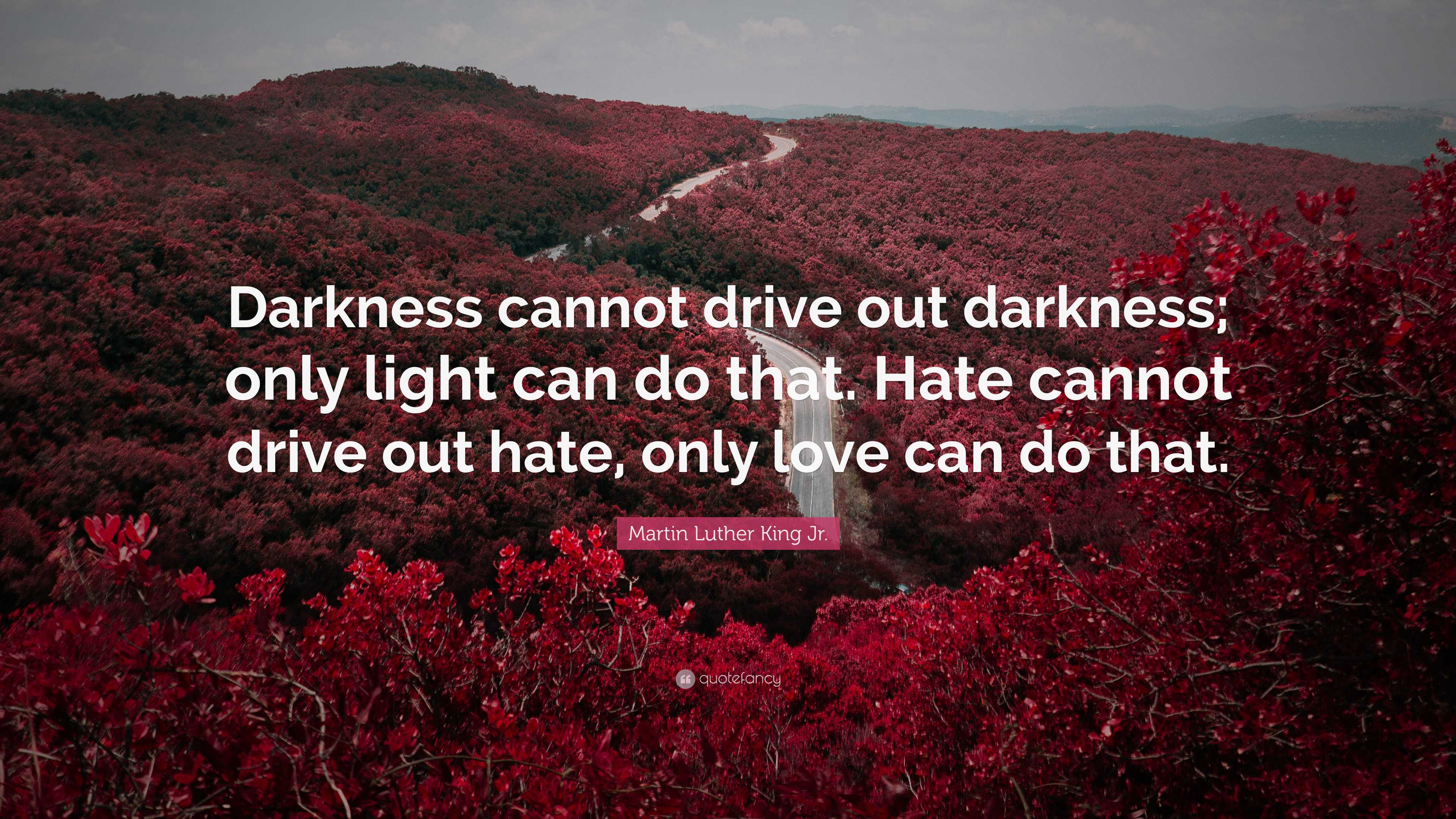 Martin Luther King Jr. Quote: “Darkness cannot drive out darkness; only ...
