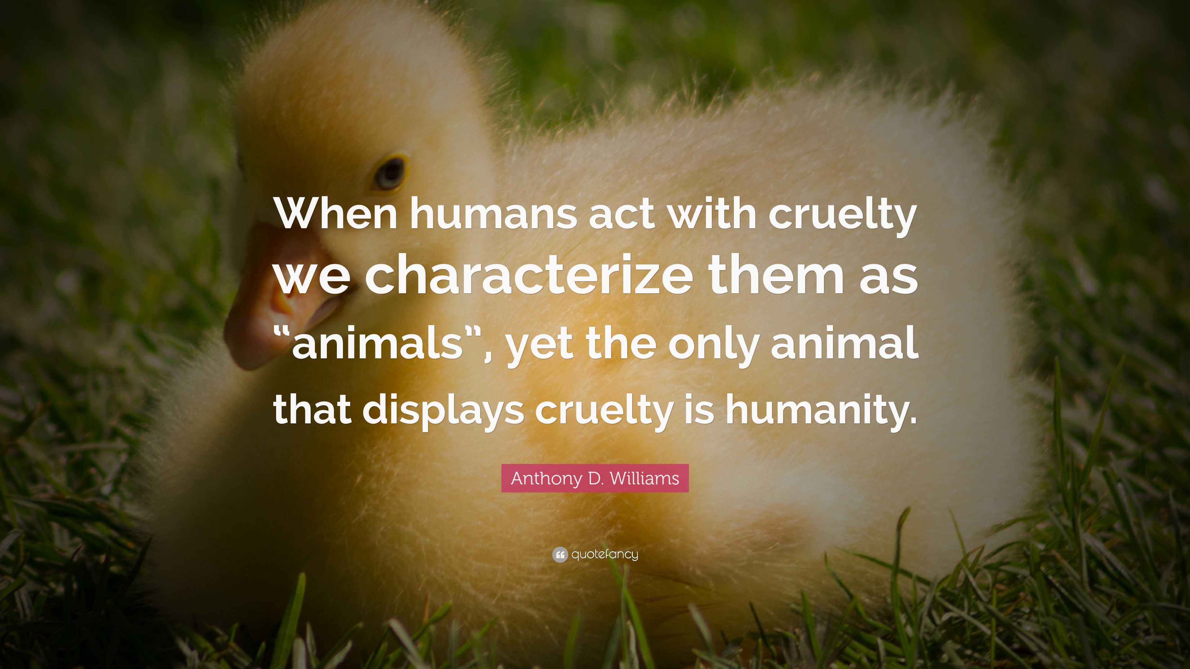 Anthony D. Williams Quote: “When humans act with cruelty we ...