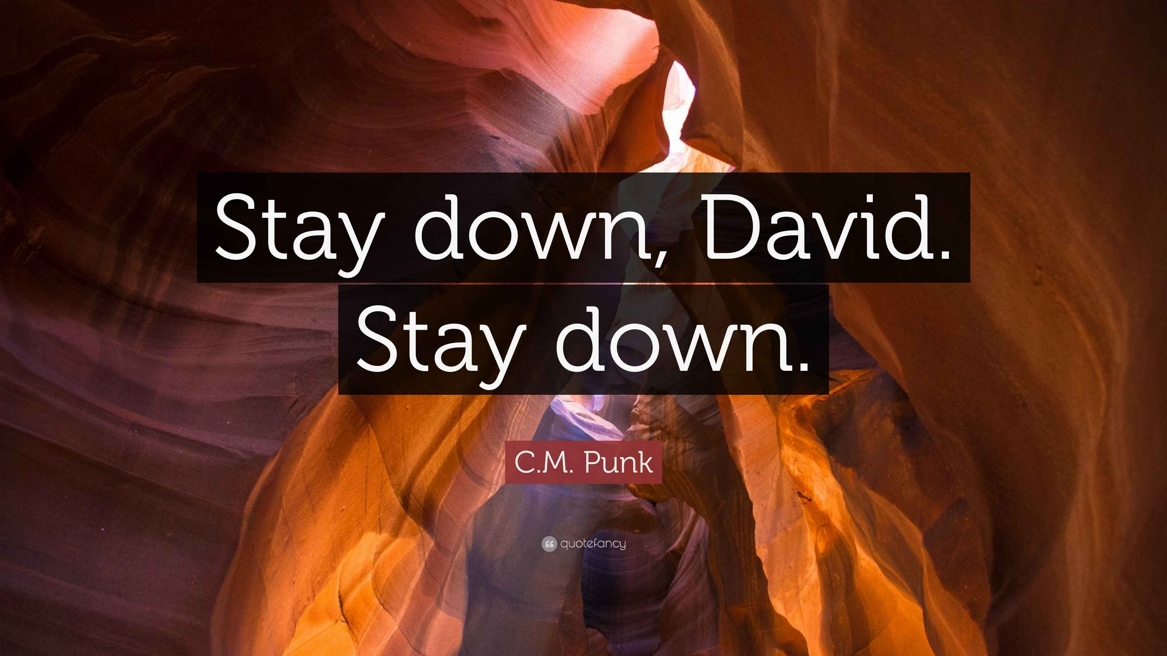 C.M. Punk Quote: “Stay down, David. Stay down.”