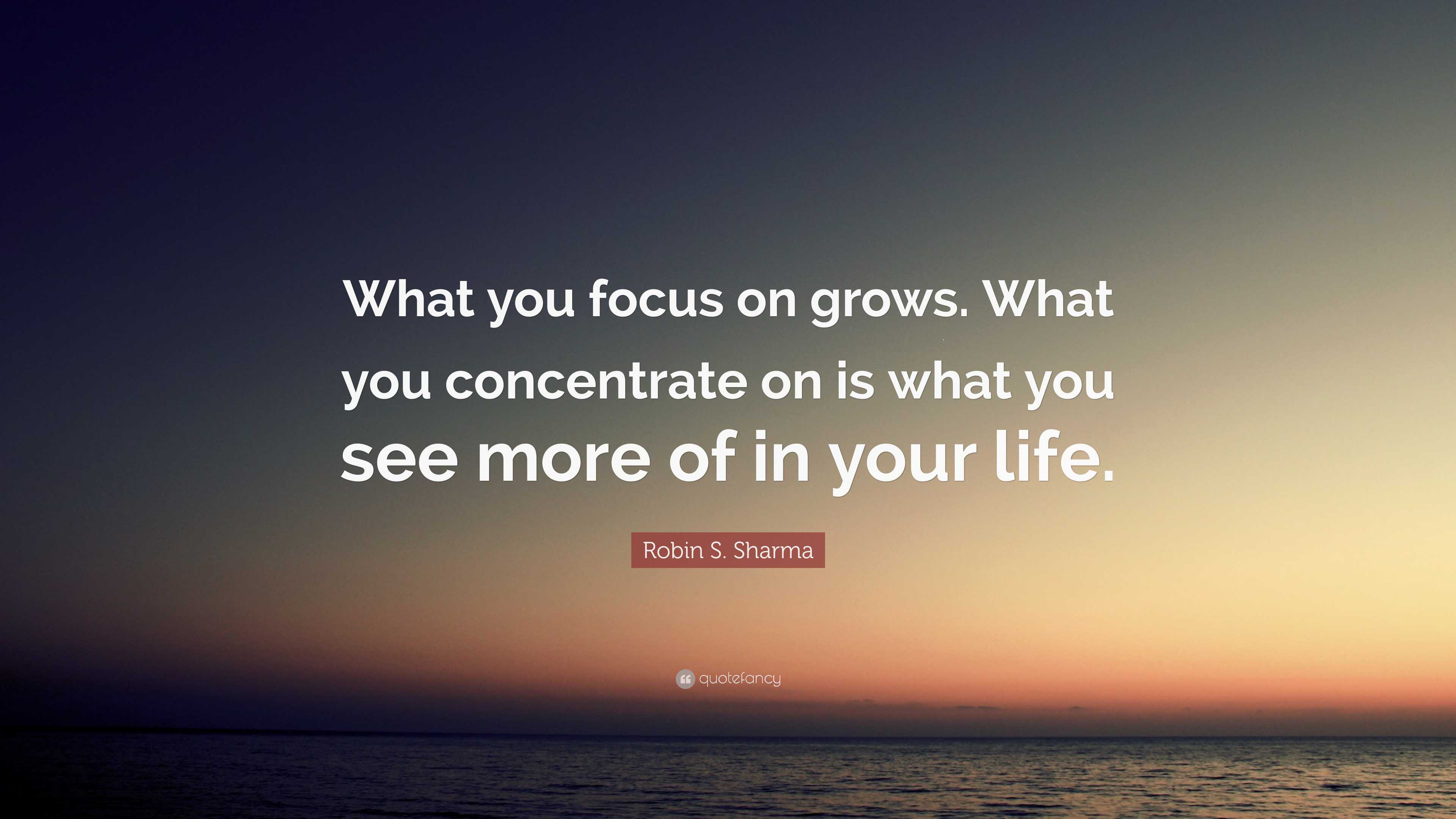Robin S. Sharma Quote: “What you focus on grows. What you concentrate ...